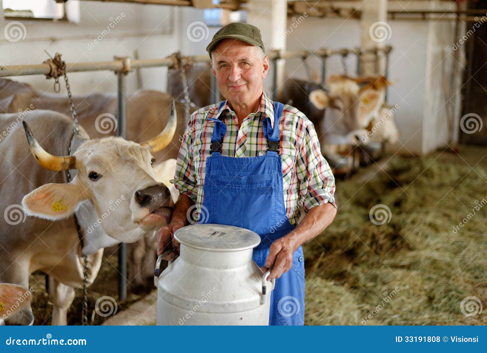 Landwirt Arbeitet an Dem Biohof Stockfoto - Bild von inländisch, futter ...