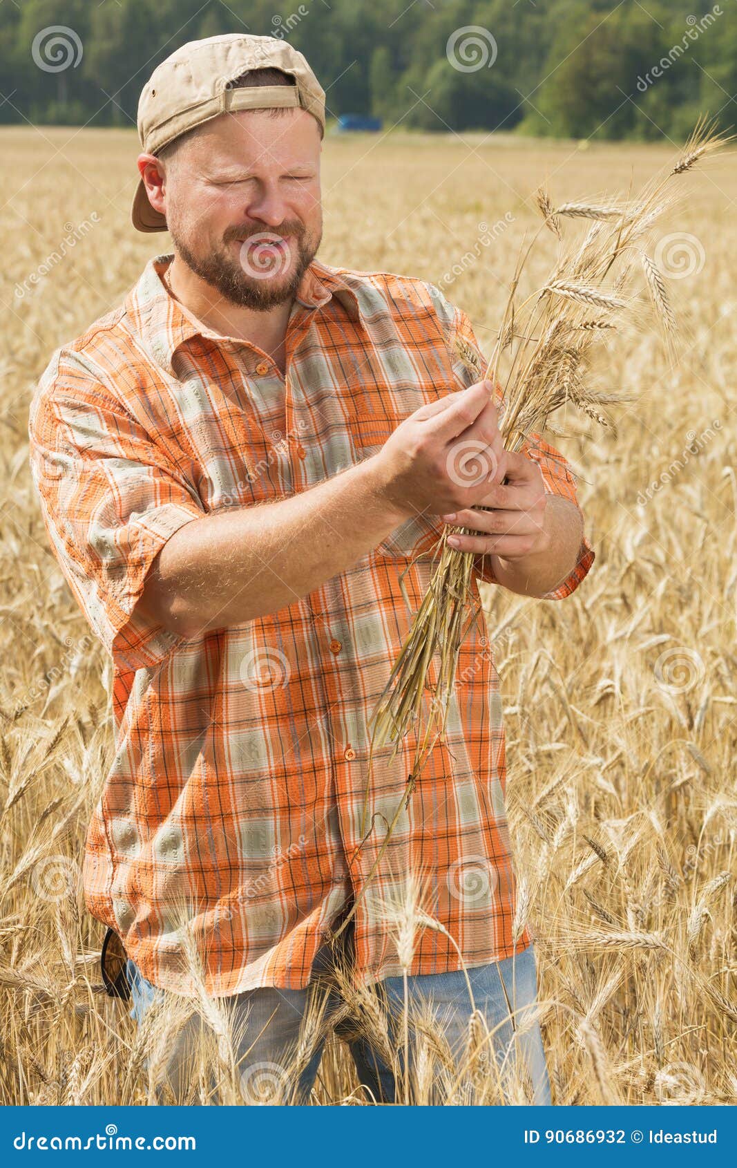 Landwirt in Der Kappe, Die am Feld Steht Stockfoto - Bild von ernte ...