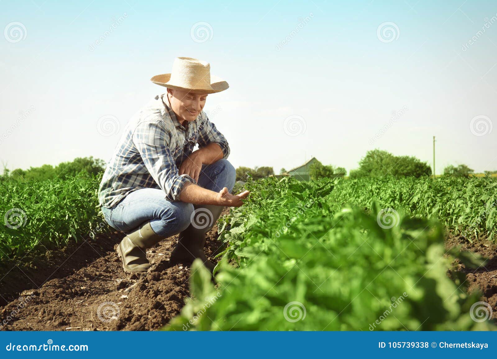 Landwirt Working Auf Dem Gebiet Stockfoto - Bild von täglich, ernten ...