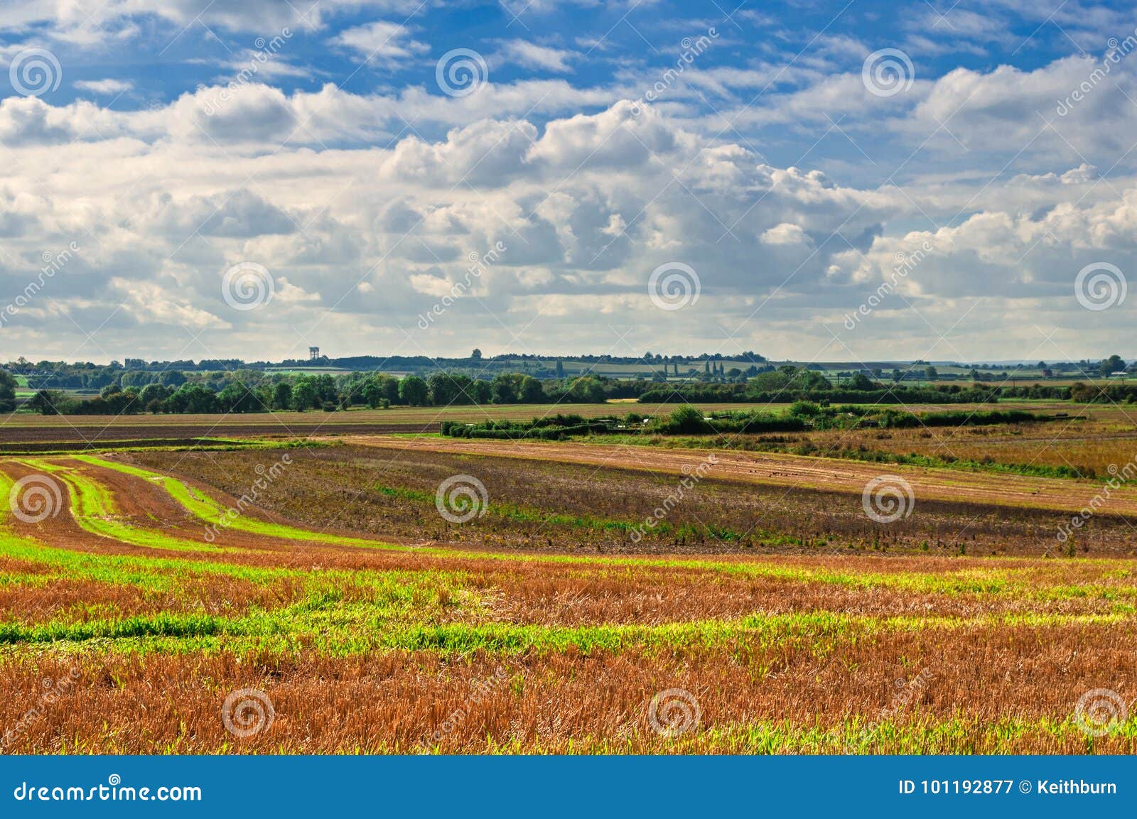Landwirtschaftliche Landschaft, Feld Nach Ernte Stockbild - Bild von ...