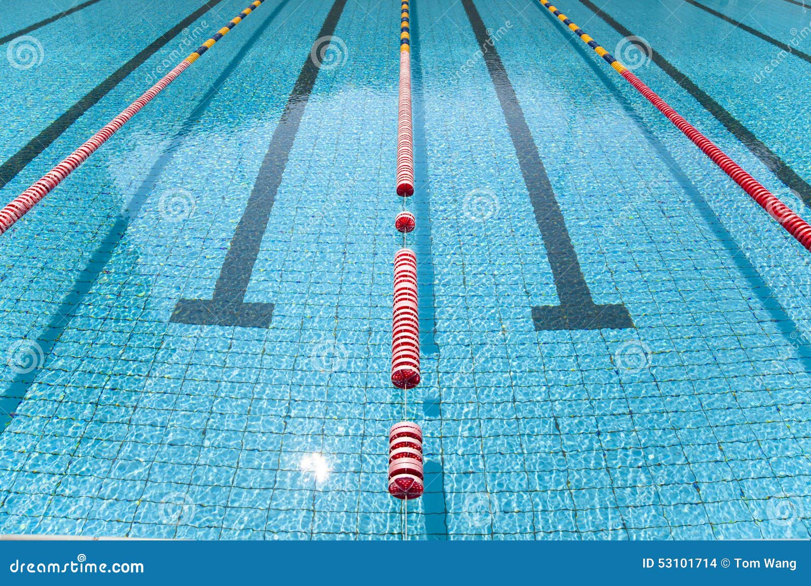 Lane in Clear Swimming Pool Stock Photo - Image of ripples, texture ...