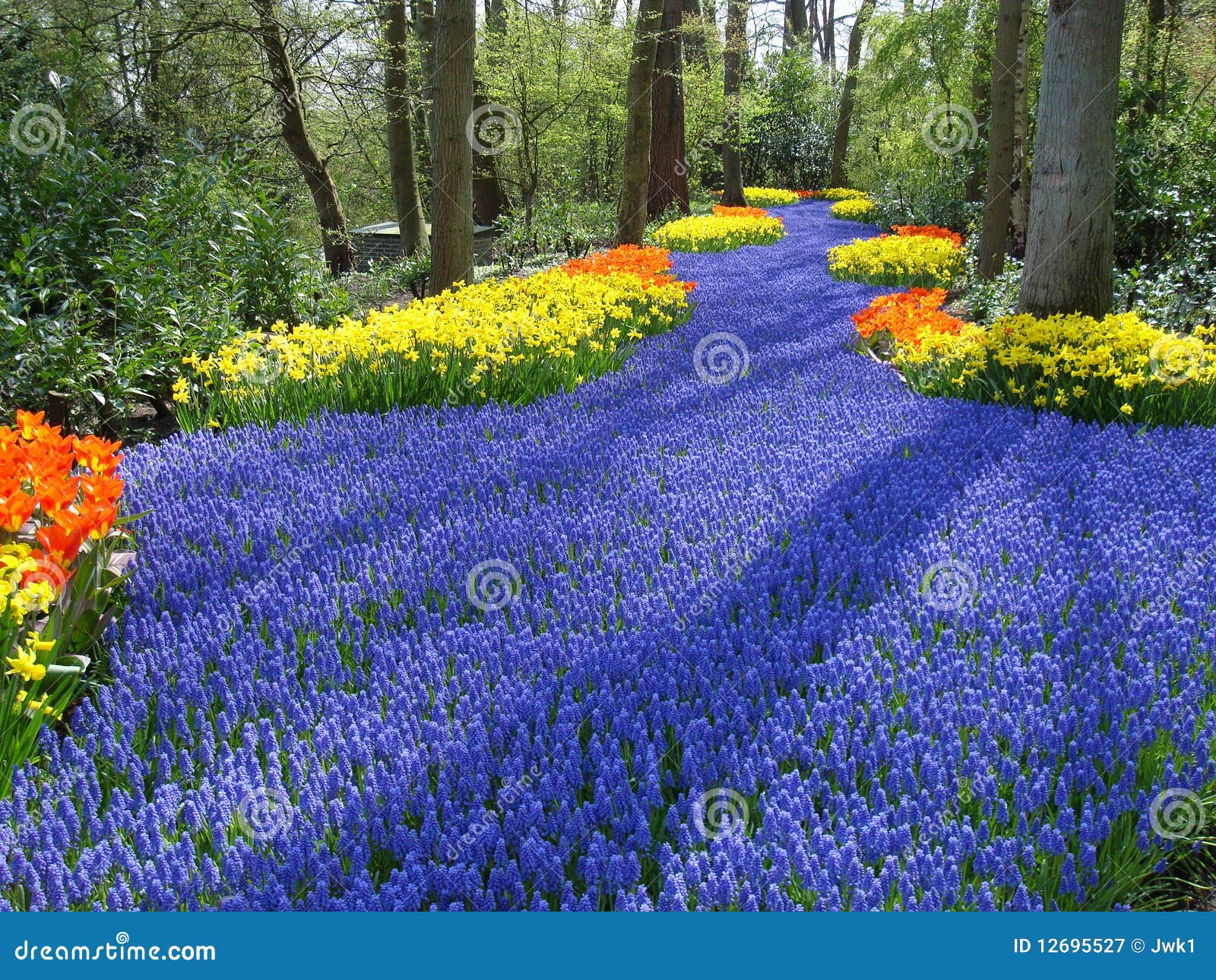 Lane of Flowers in Dutch Spring Garden Stock Image - Image of holland ...