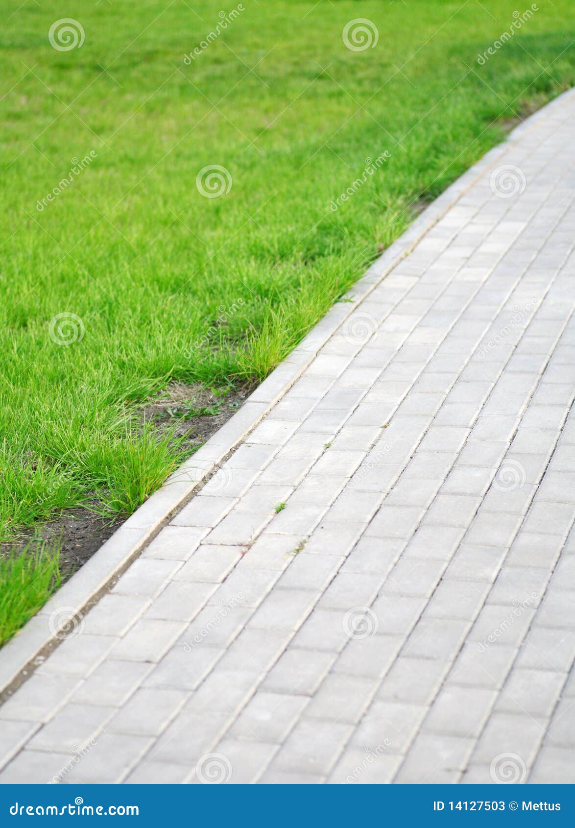 Lane of the garden stock image. Image of pavement, path - 14127503