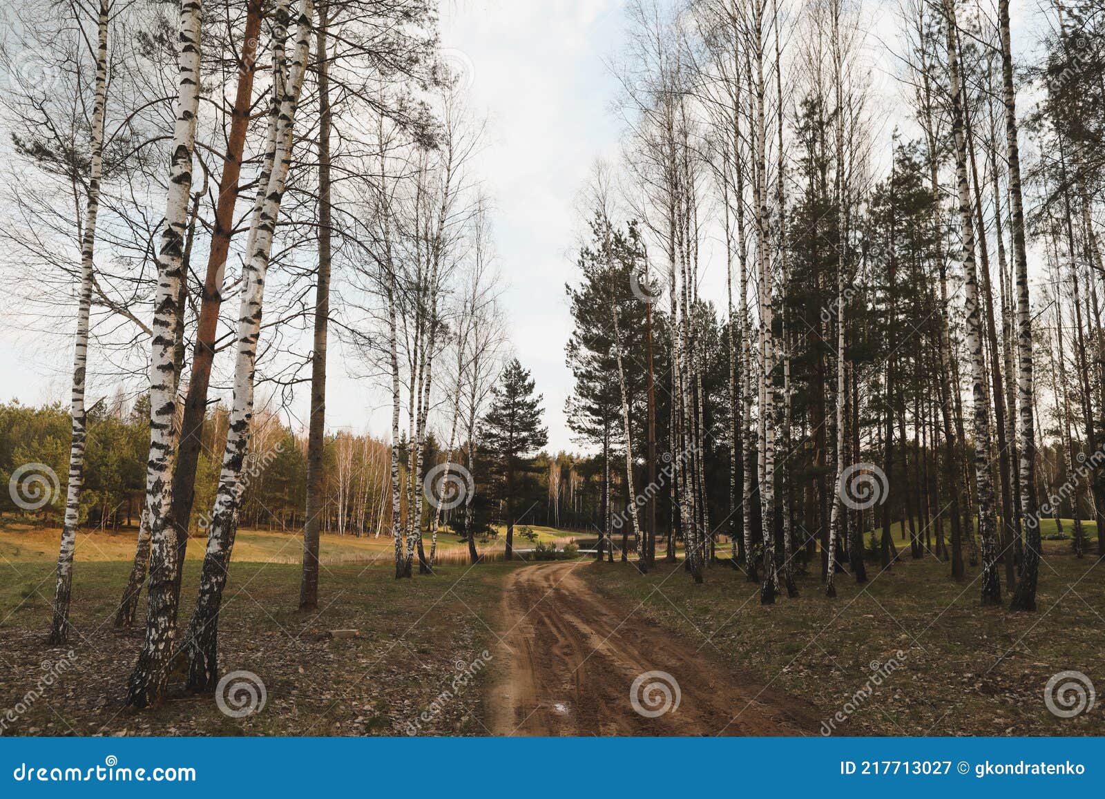 Lane in Meadow and Forest, Spring Landscape Stock Image - Image of ...