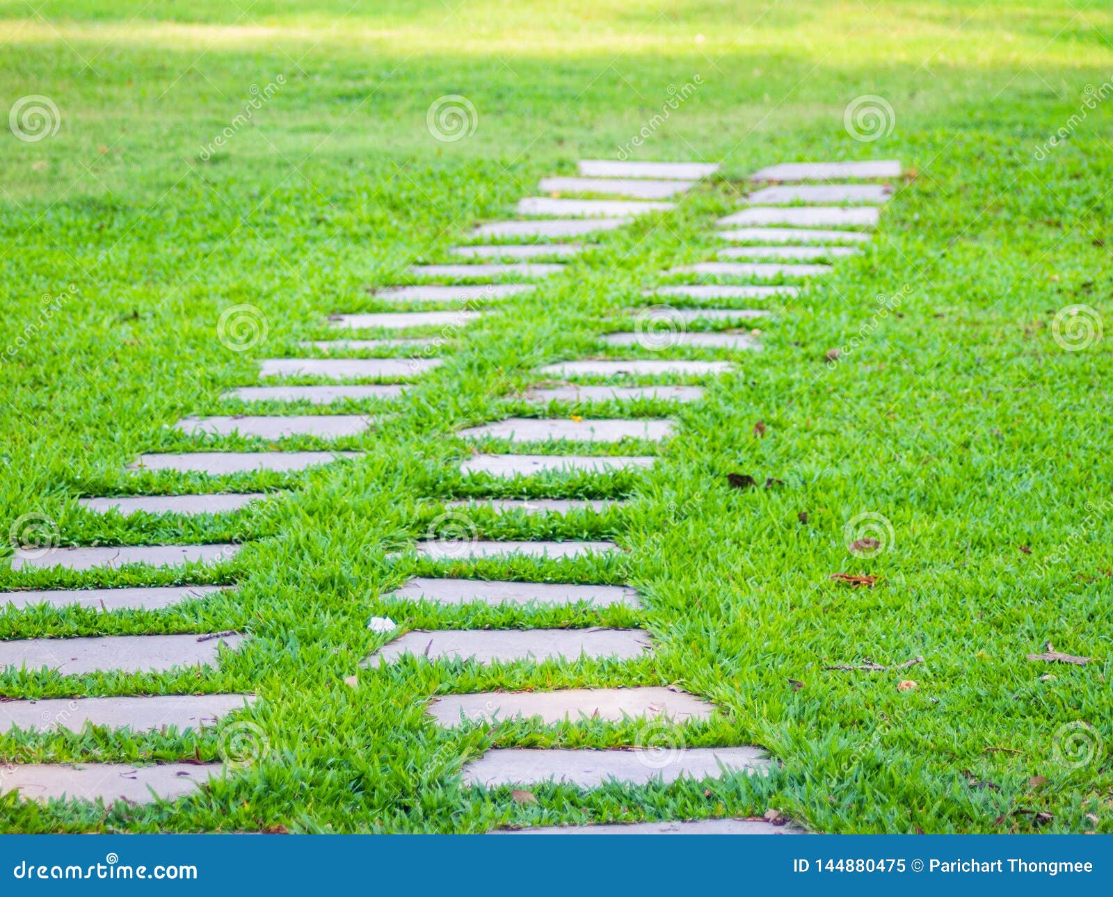 Path And Grass Stock Photo | CartoonDealer.com #62561616