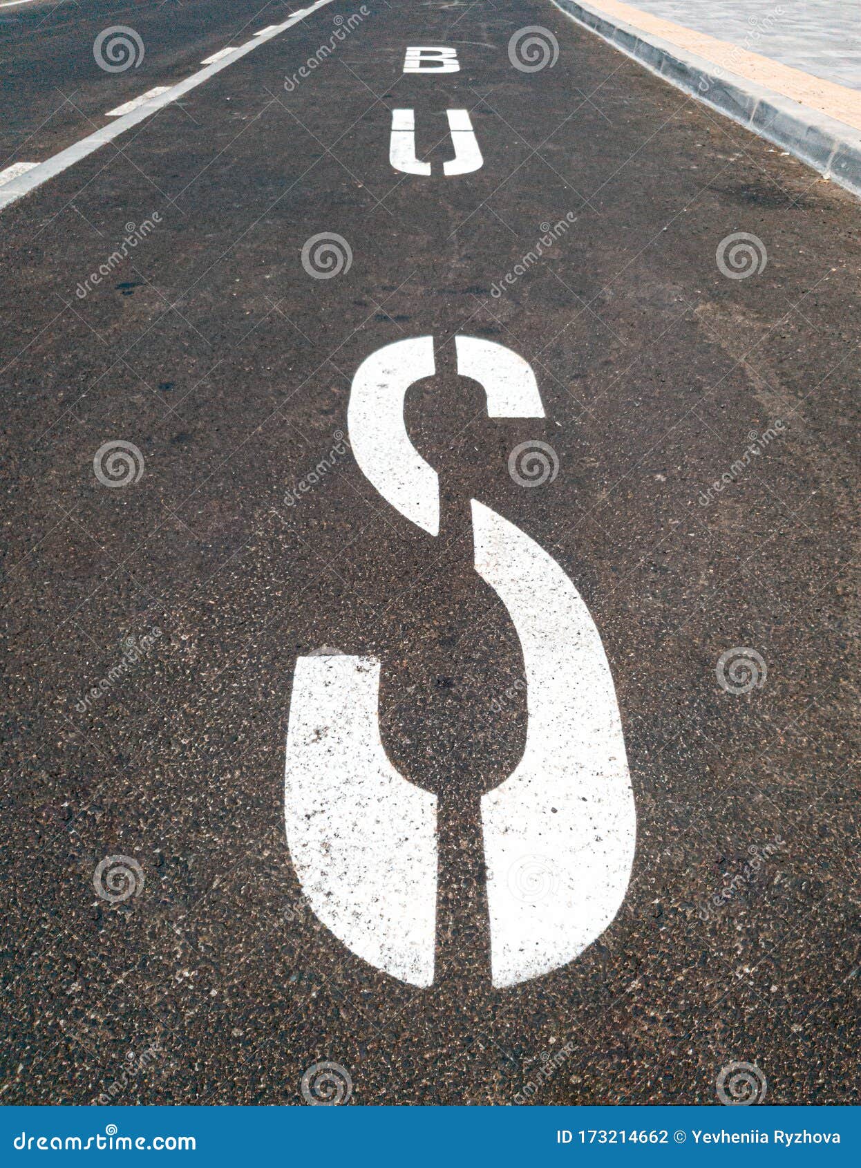 Lane for Public Transport and Buses Painted with White Paint on the ...