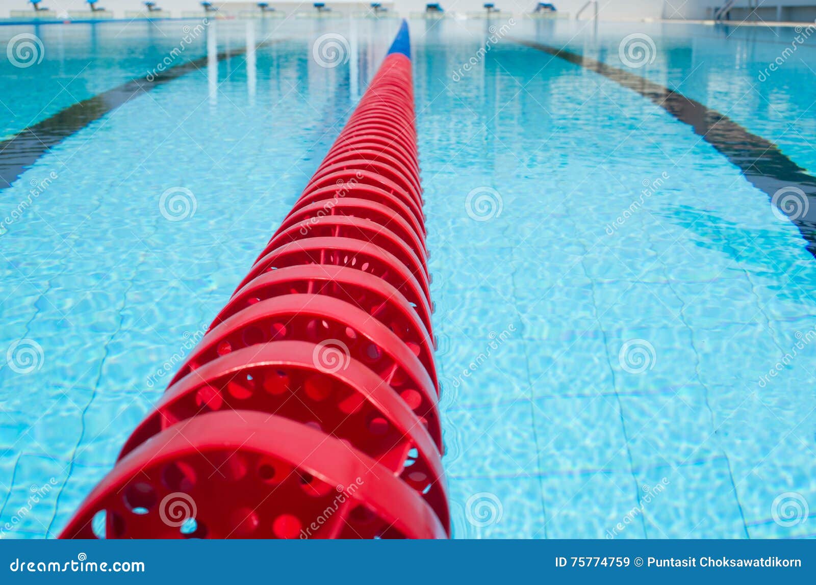 317 Pool Lane Rope Photos - Free & Royalty-Free Stock Photos from ...