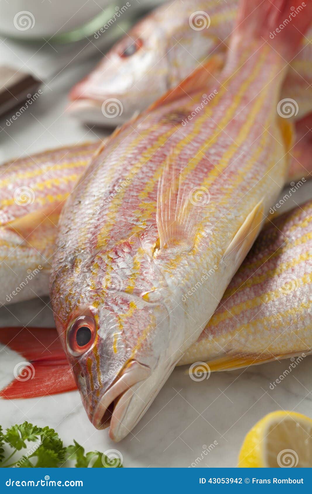 Lane snappers stock photo. Image of synagris, dish, food - 43053942
