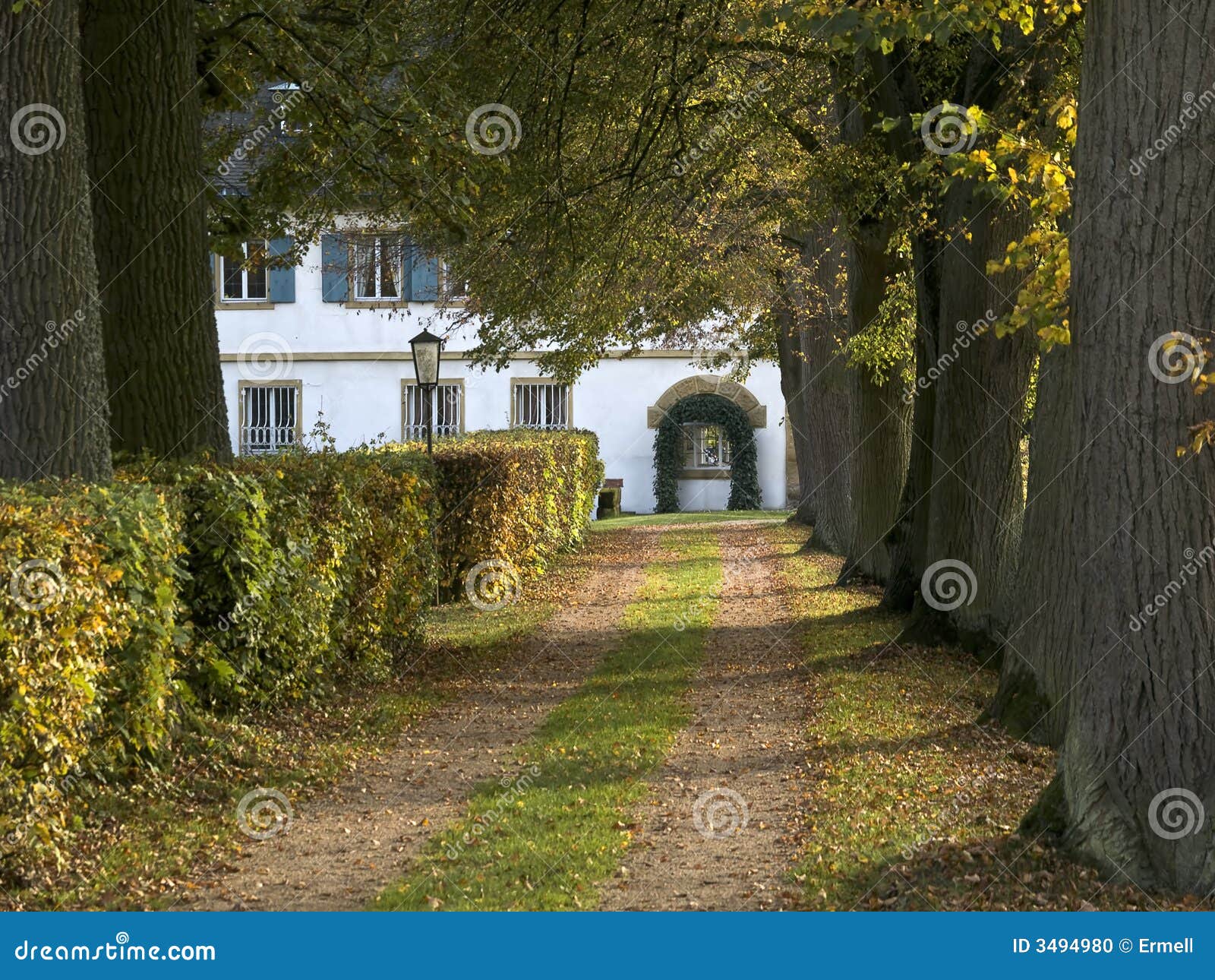 Lane to farmhouse stock photo. Image of trees, bavaria - 3494980