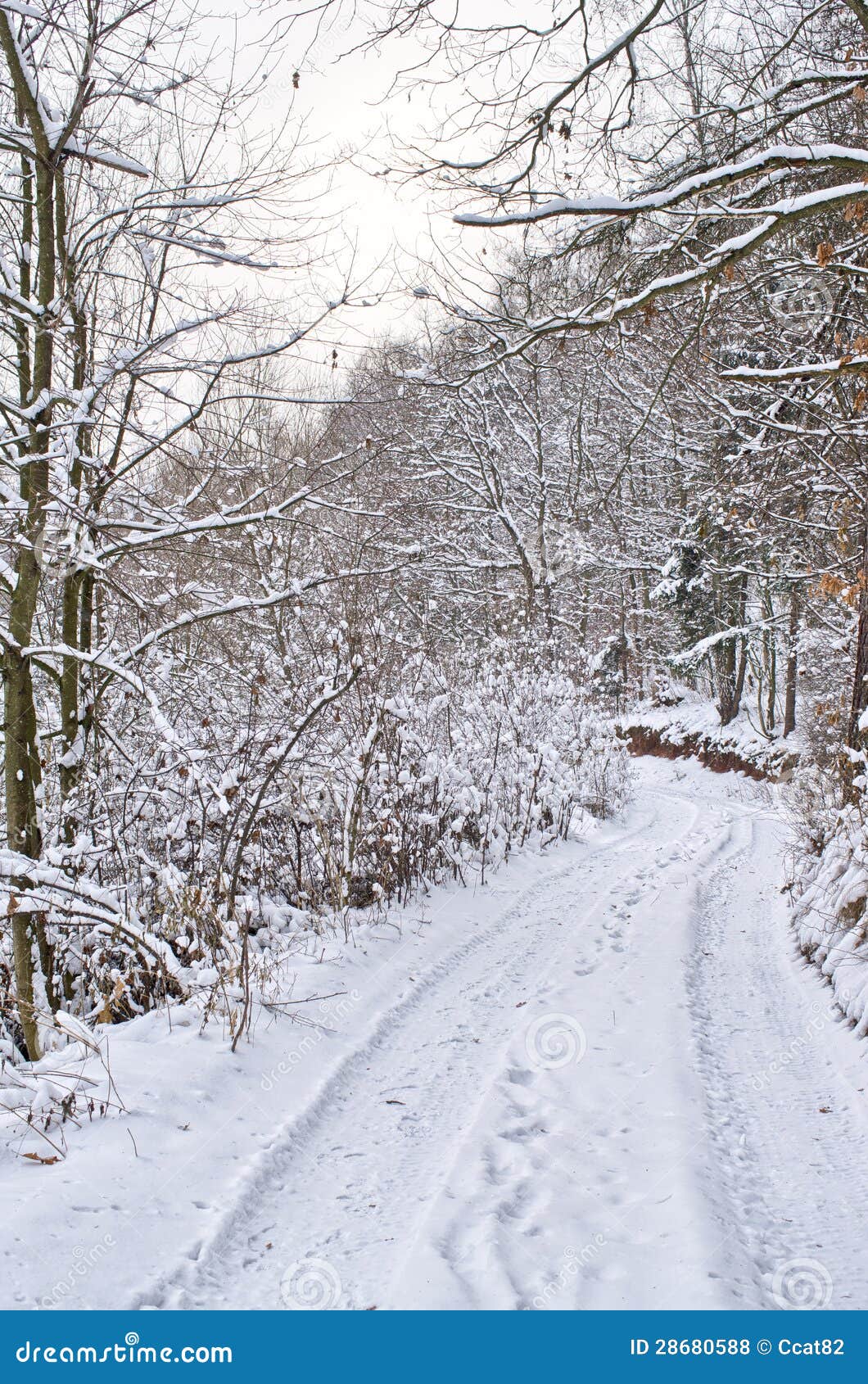 Lane during the winter stock photo. Image of track, beauty - 28680588