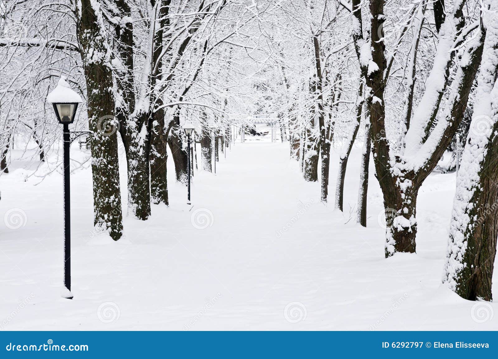 Lane in winter park stock image. Image of covered, december - 6292797