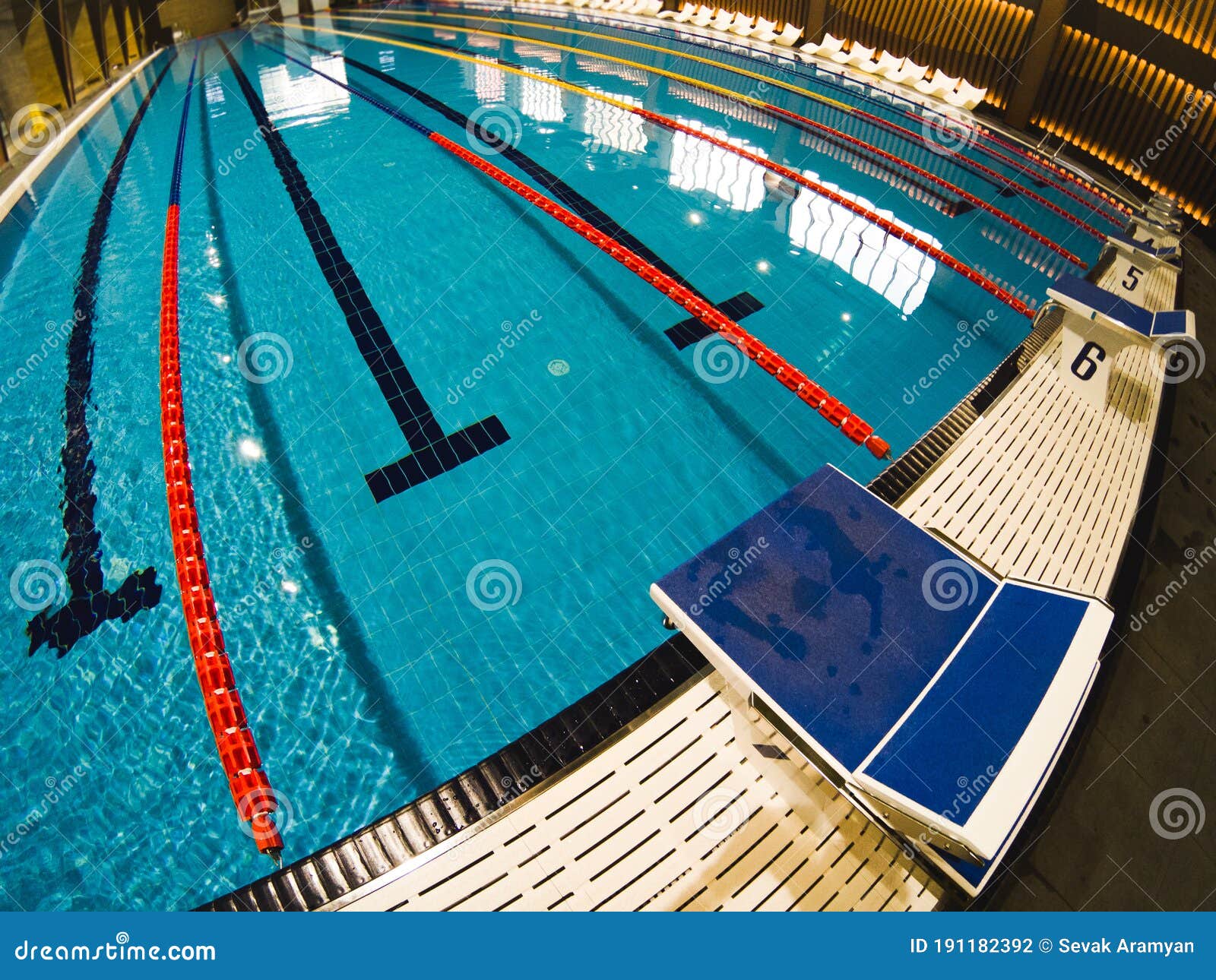 Lanes of a Competition Swimming Pool Stock Photo - Image of hotel ...