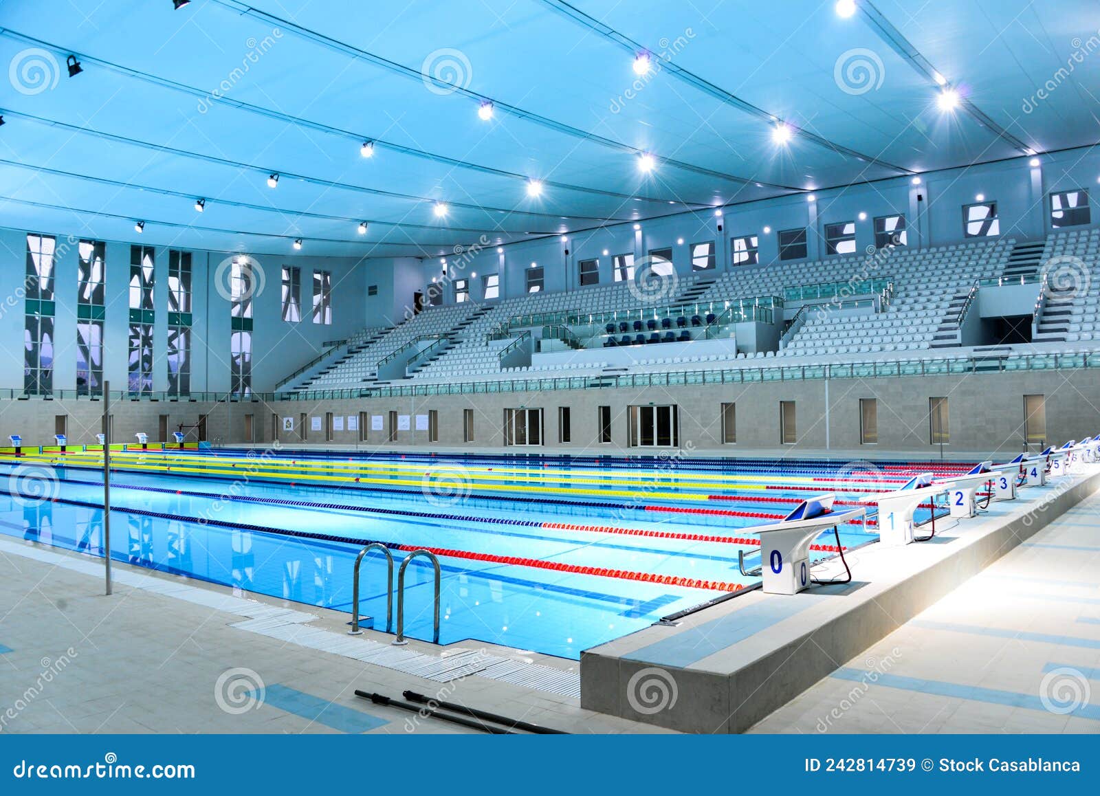 Lanes of a Competition Swimming Pool Stock Image - Image of board ...