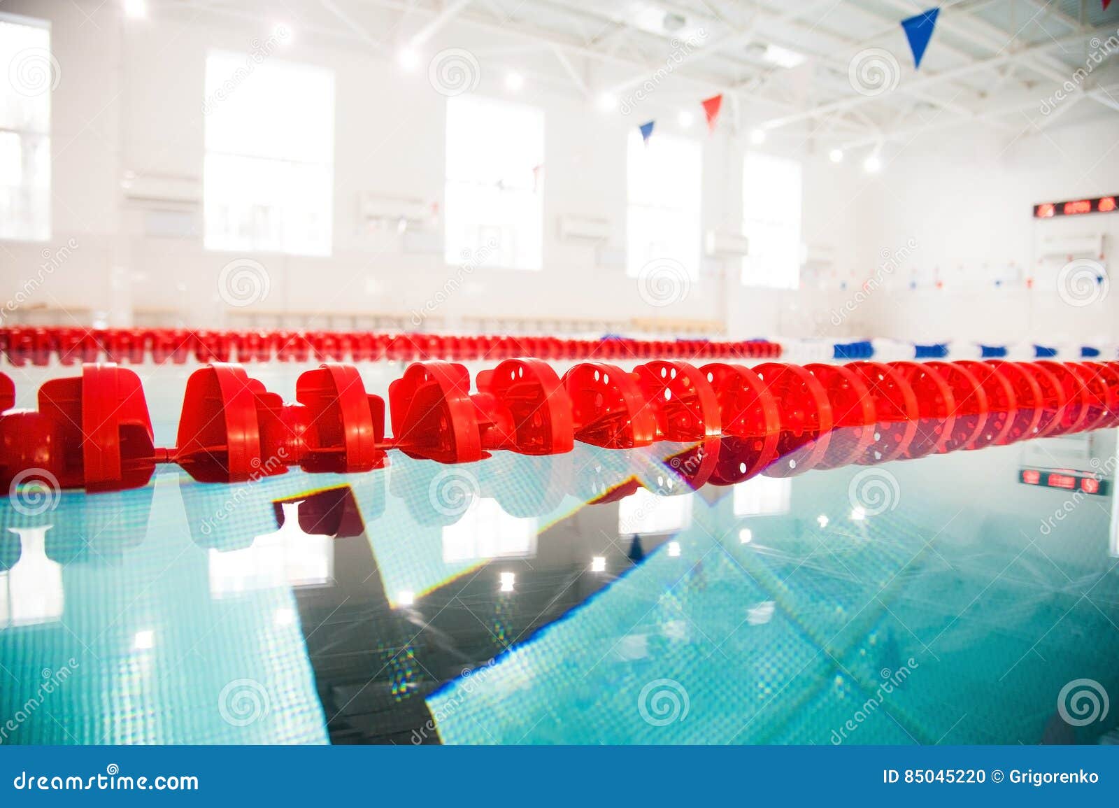 Lanes of a Competition Swimming Pool Stock Photo - Image of pool ...