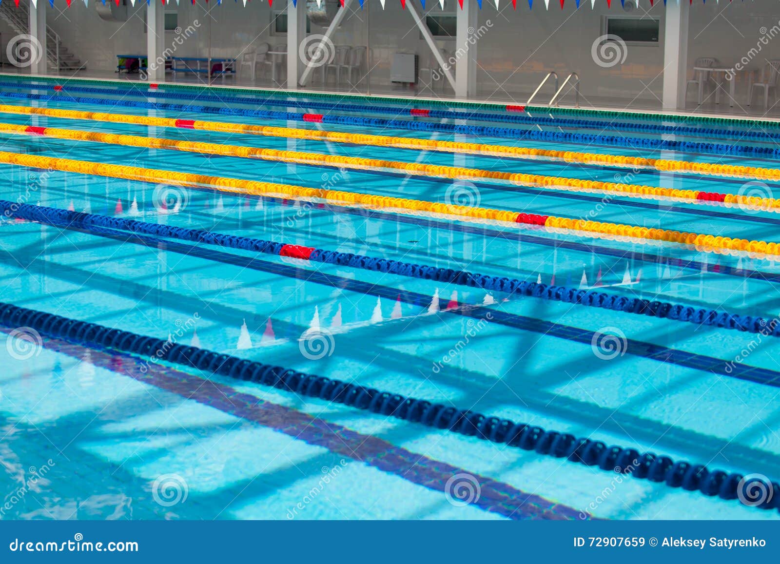 Lanes of a Competition Swimming Pool Stock Image - Image of active ...