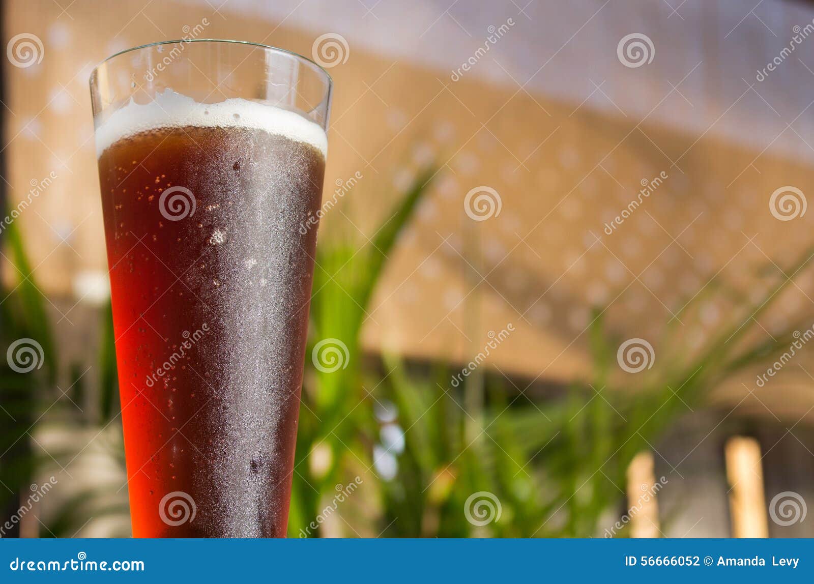 Lang glas rood bier stock foto. Image of borrelen, drank - 56666052