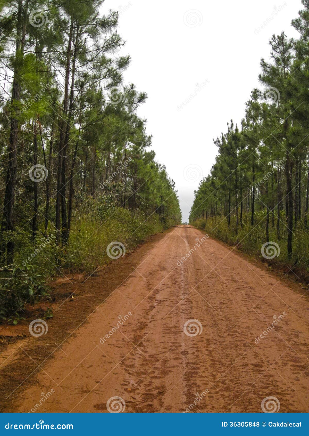 Lange en Oneindige Landweg stock foto. Image of installaties - 36305848