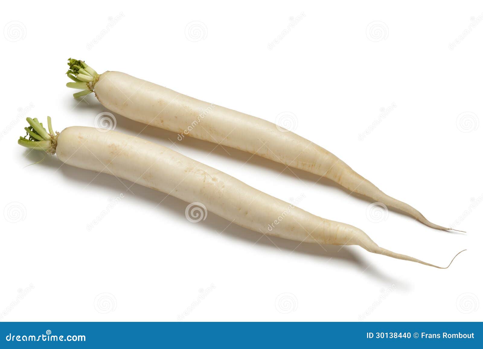 Lange witte Radijs stock foto. Image of horizontaal, ingrediënt - 30138440