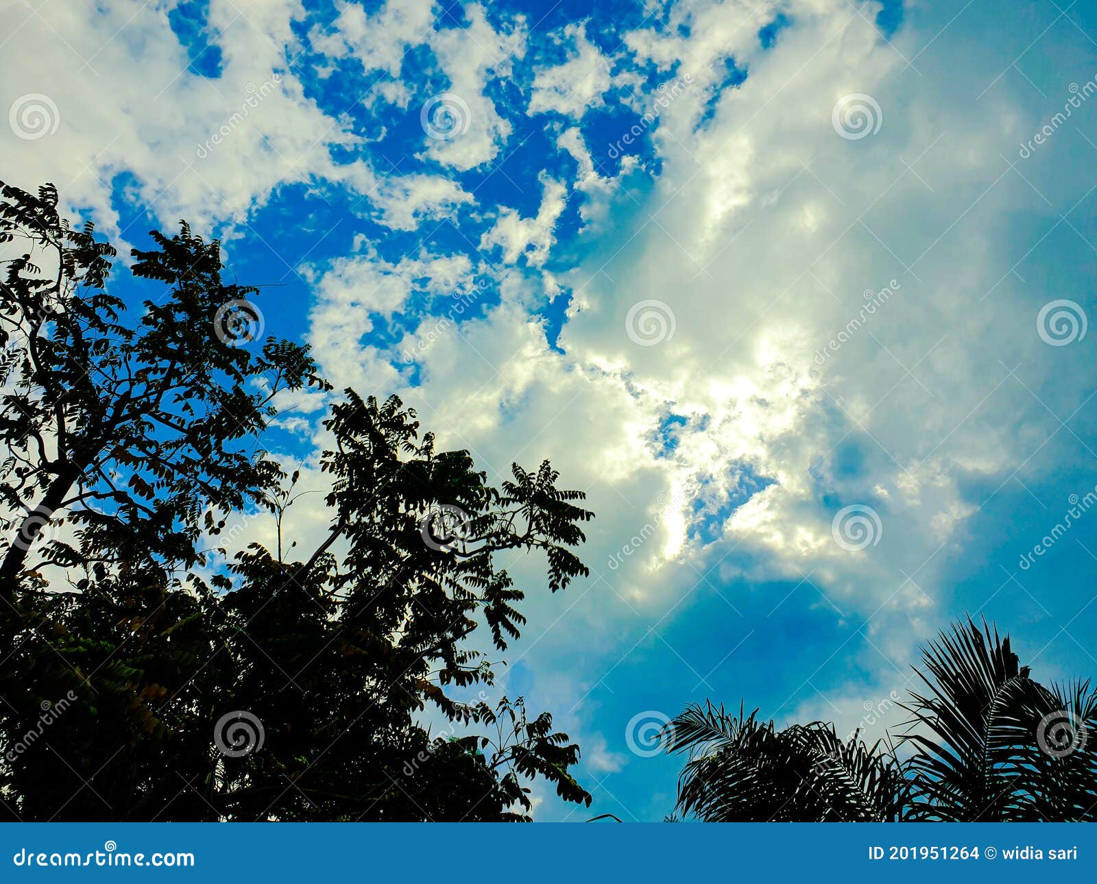 Langit cerah stock photo. Image of darkness, tree, reflection - 201951264