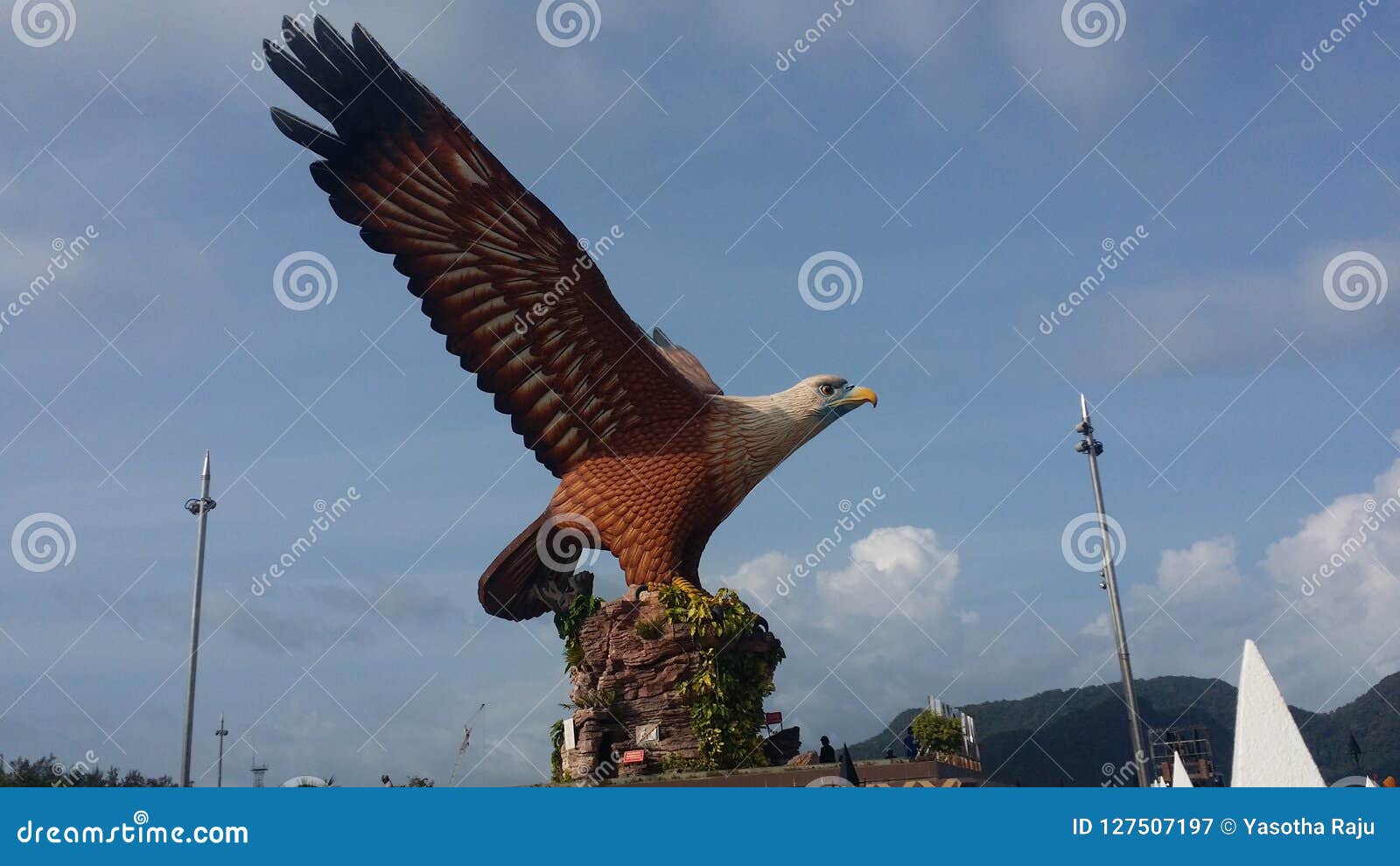Eagle status editorial photography. Image of island - 127507197