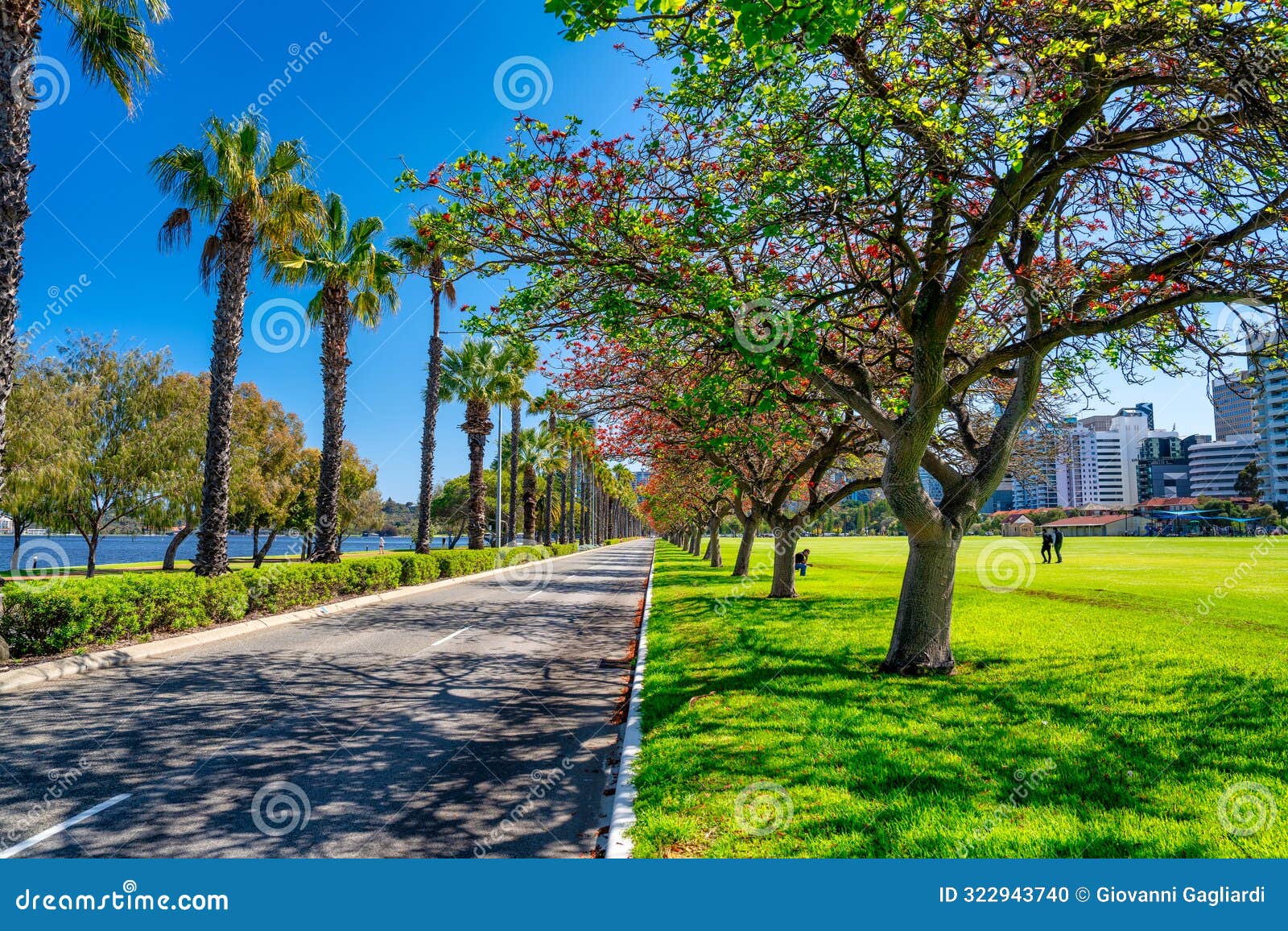 Langley Park and Perth Skyline on a Beautiful Sunny Day Stock Photo ...