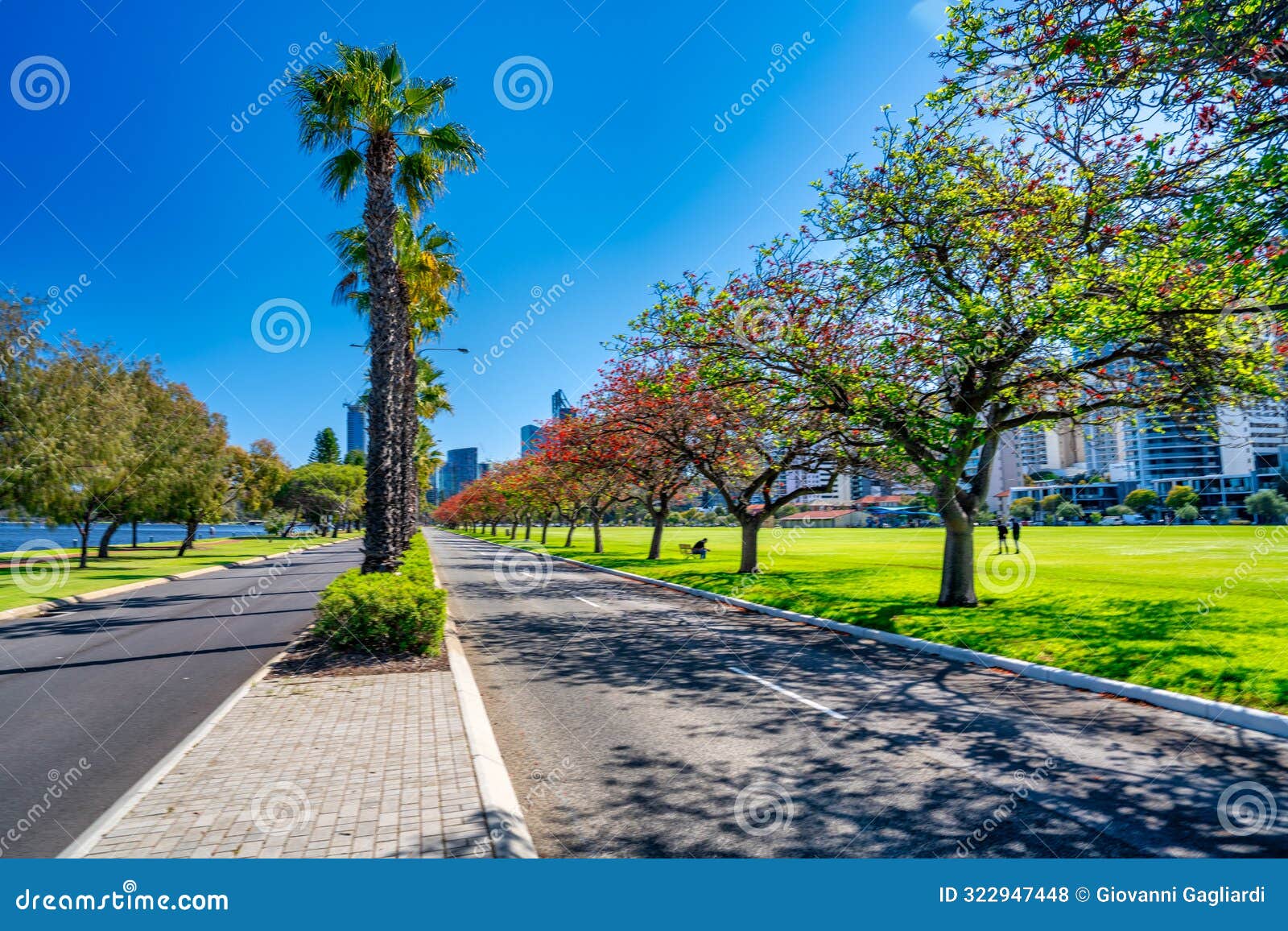 Langley Park and Perth Skyline on a Beautiful Sunny Day Stock Photo ...
