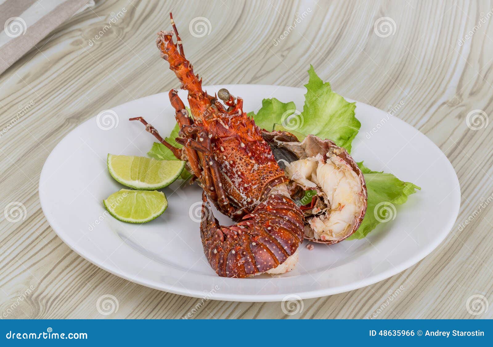 Langoest stock foto. Image of koude, heerlijk, diner - 48635966