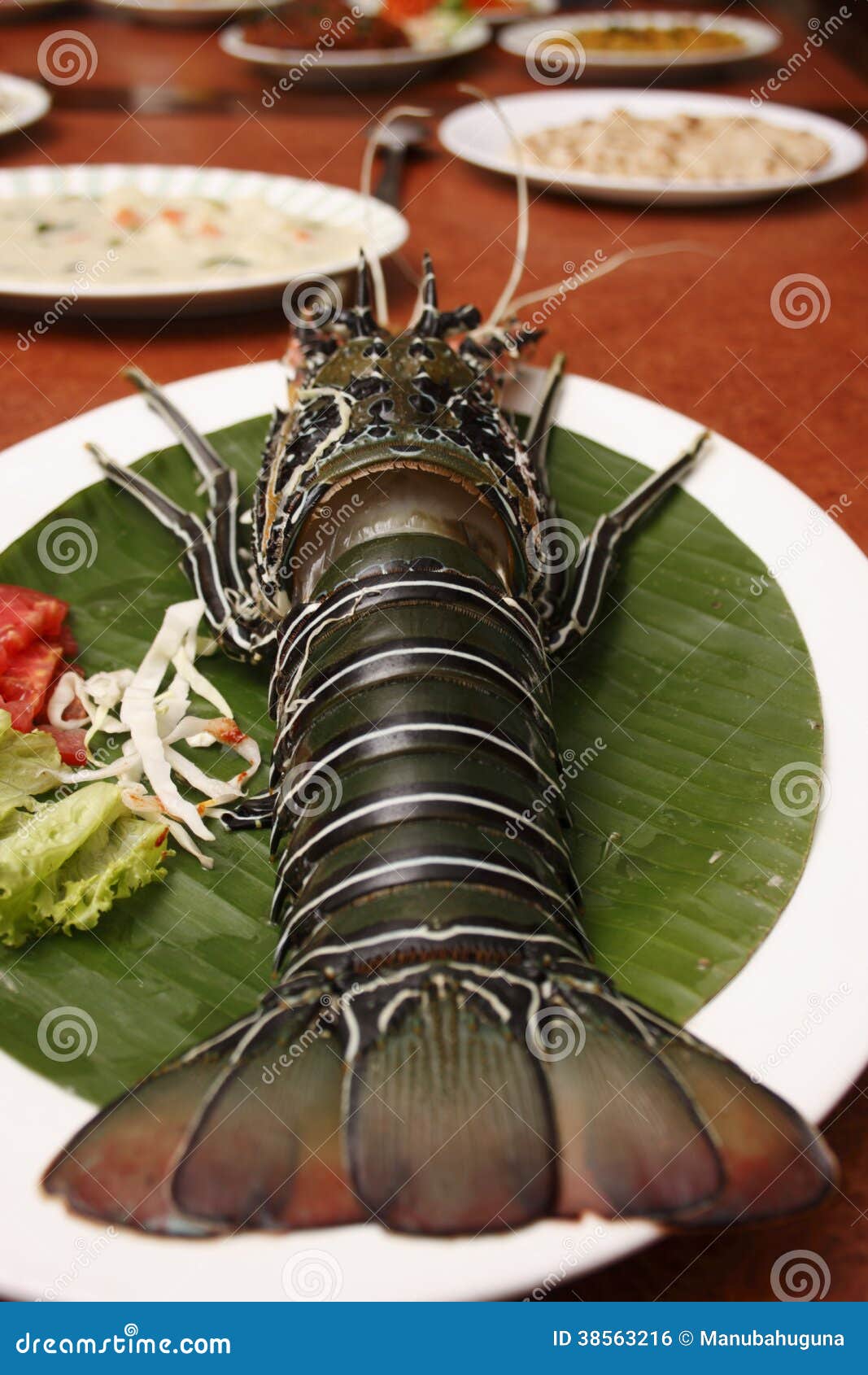 Langoest van Goa, India stock foto. Image of geit, rivierkreeften ...