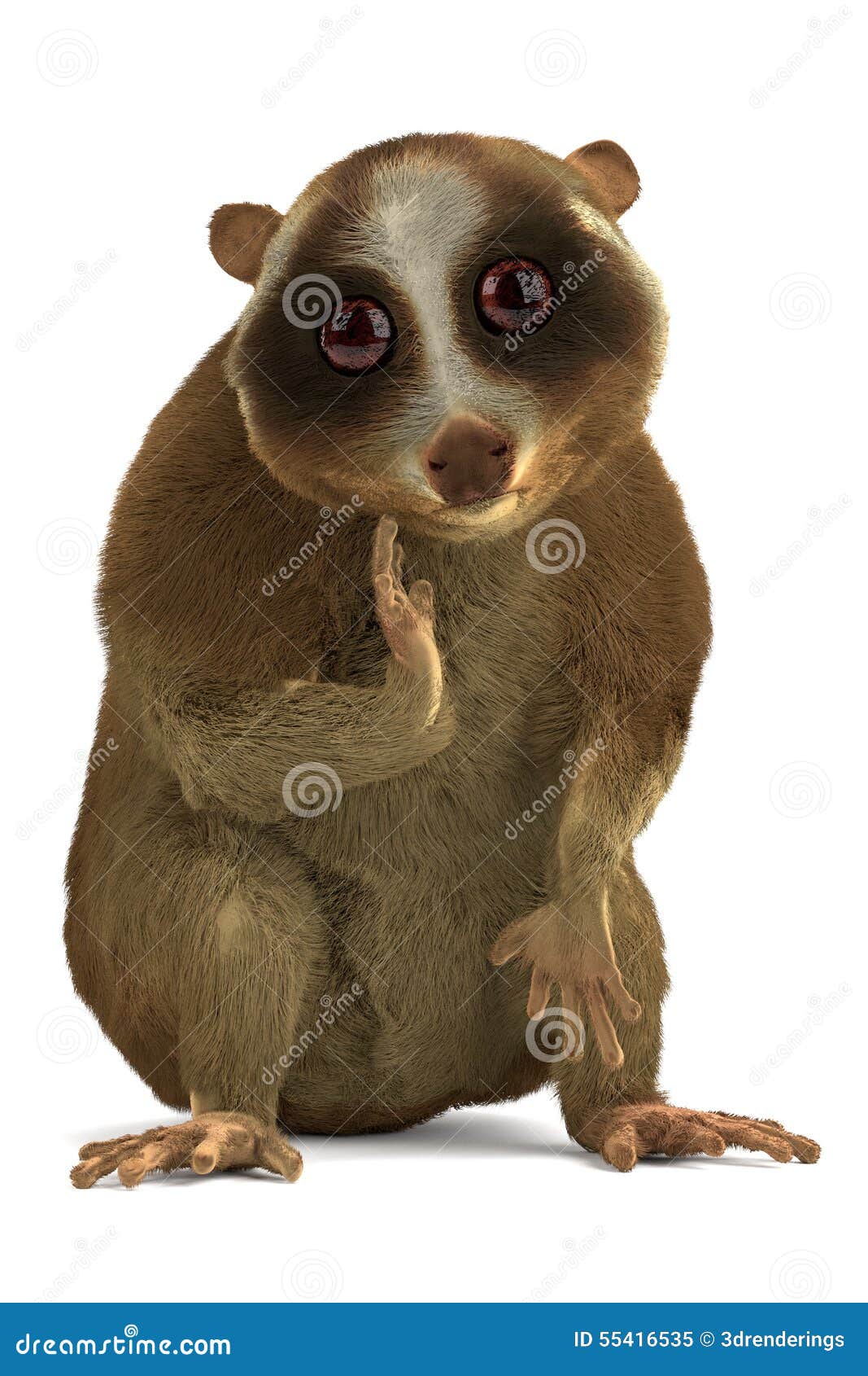 Langsame loris stock abbildung. Illustration von baumuster - 55416535
