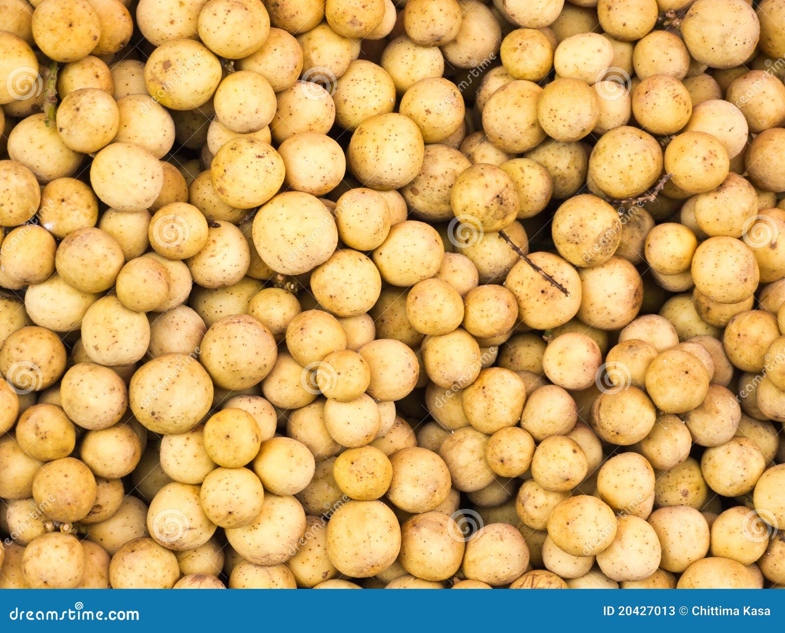 Langsat stock image. Image of domesticum, longong, ripe - 20427013