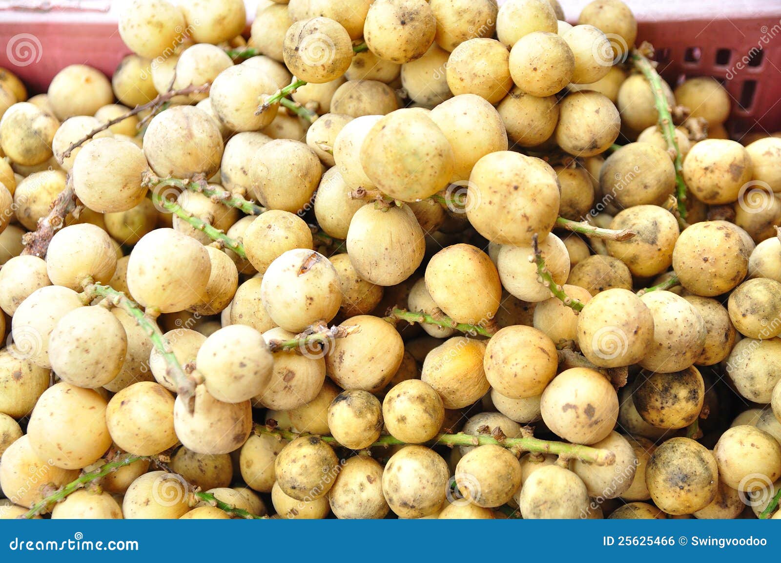 Langsat stock photo. Image of philippines, juicy, ripe - 25625466