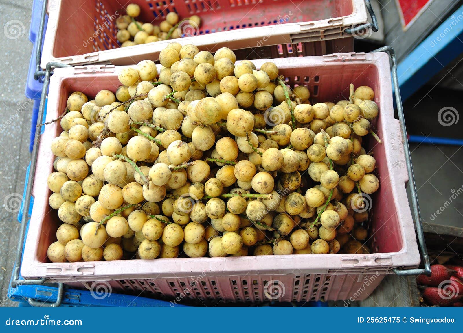 Langsat stock image. Image of color, gourmet, natural - 25625475