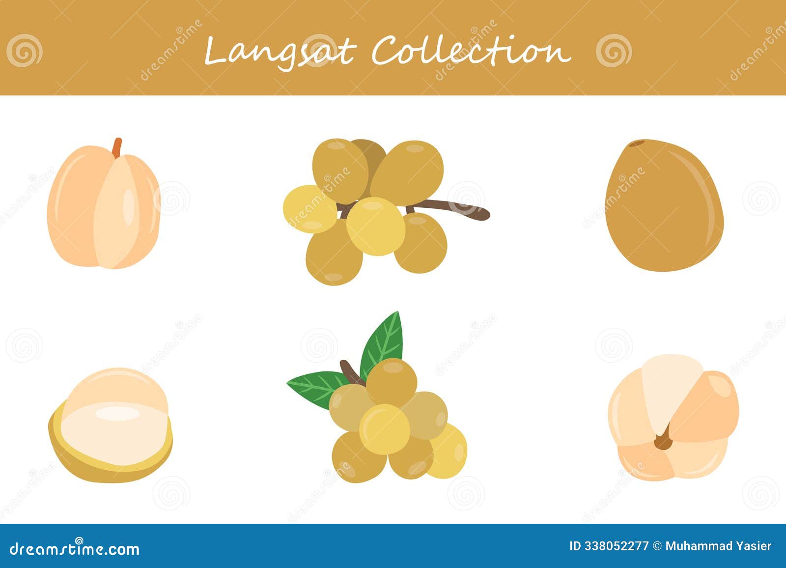 Langsat Vector Illustration Hand Drawn Fruit Cartoon Art ...