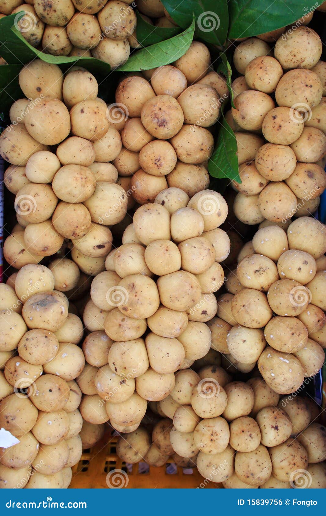 Langsat De La Fruta Tropical Foto de archivo - Imagen de sano, flora ...