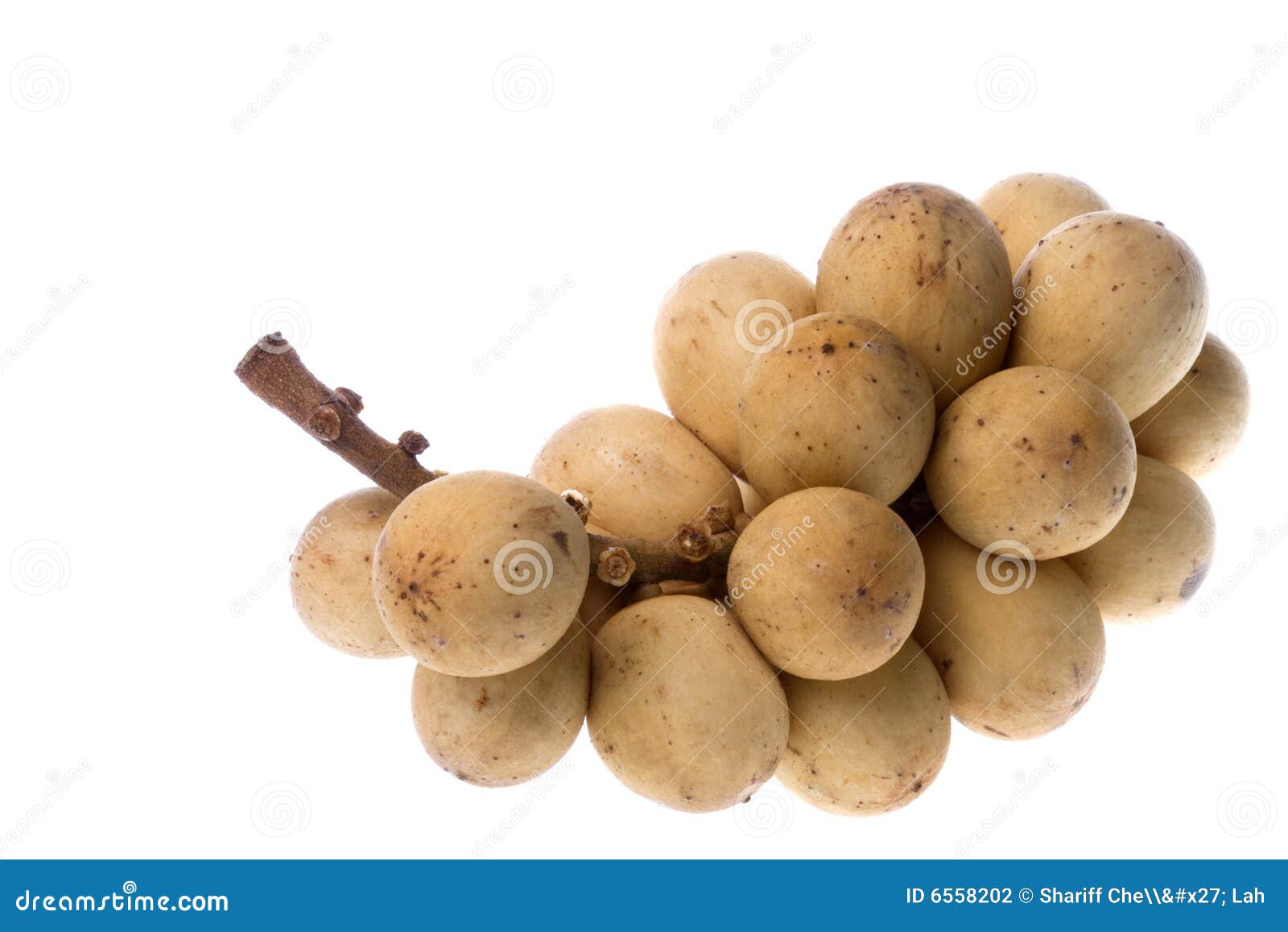 Langsat Fruit Isolated stock photo. Image of exotic, healthy - 6558202
