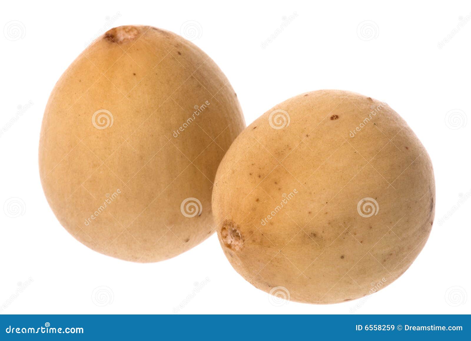 Langsat Fruit Isolated stock image. Image of tropical - 6558259