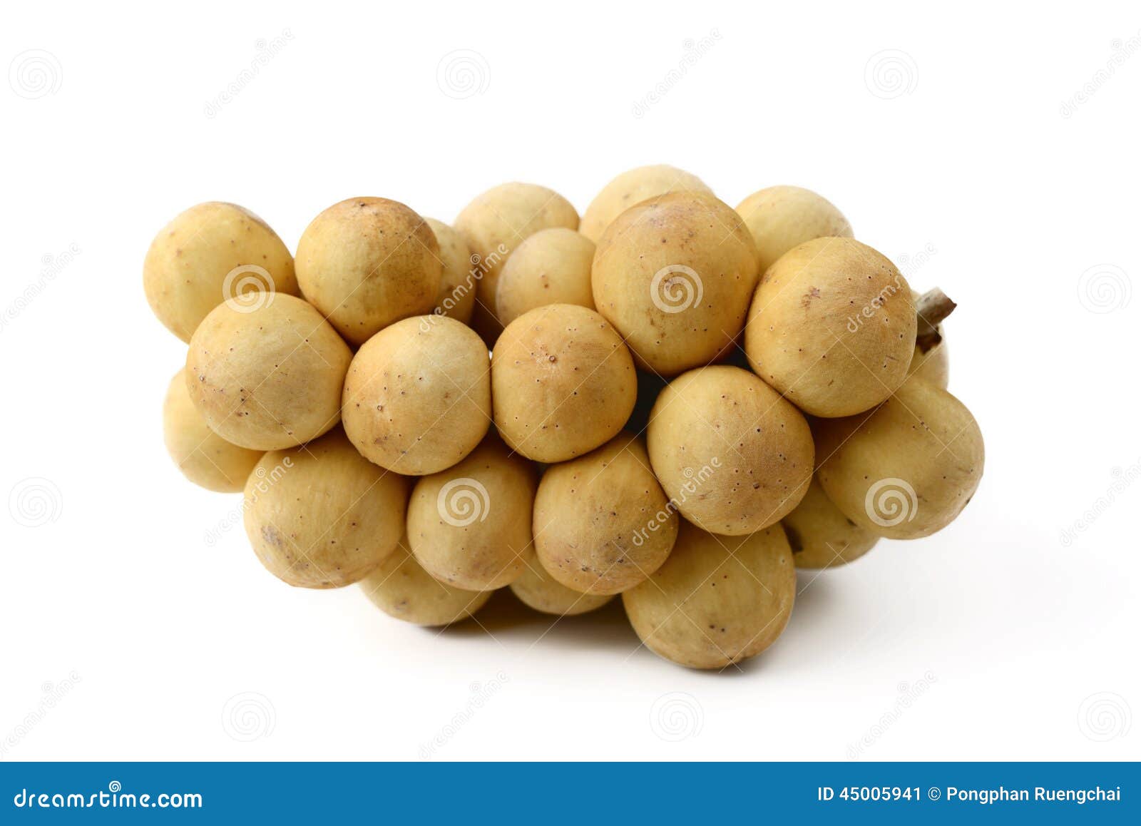 Langsat Fruit stock image. Image of longan, thailand - 45005941