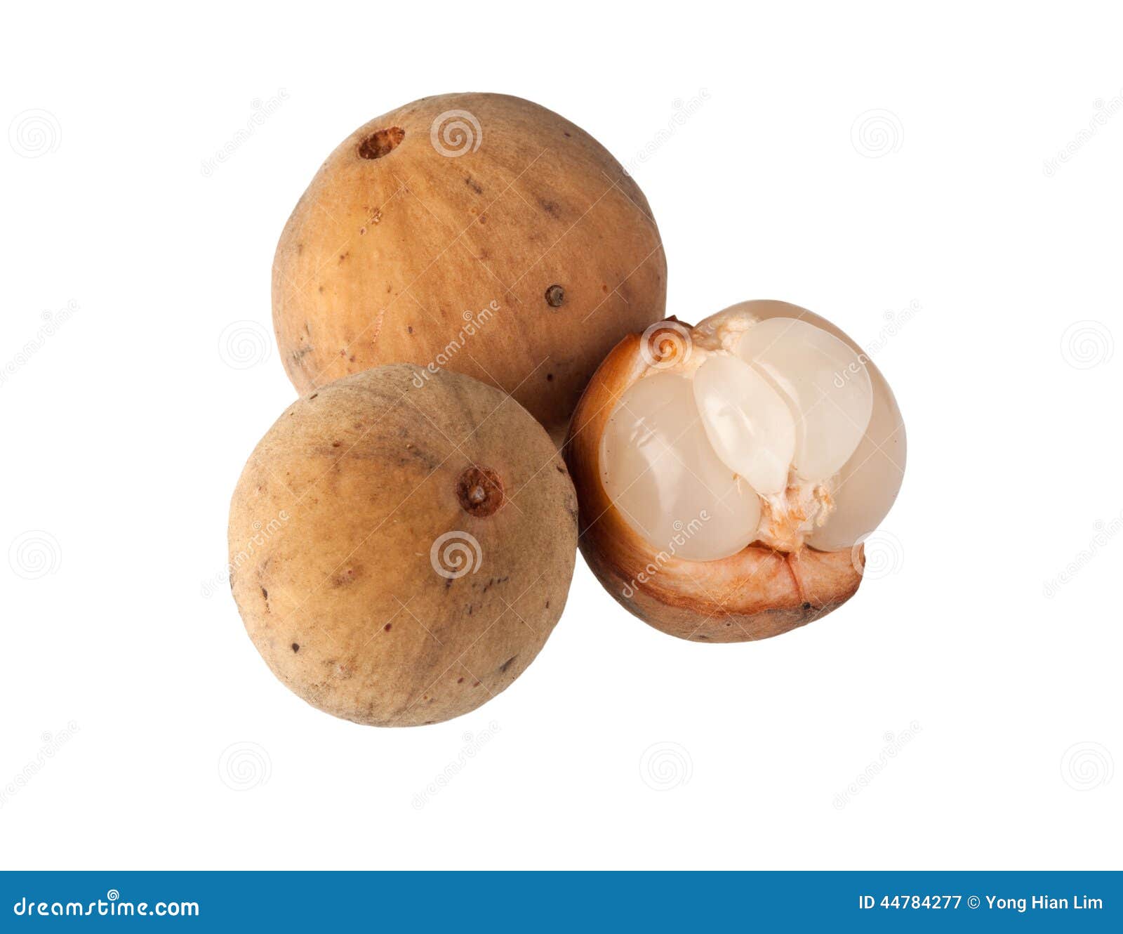 Langsat fruit stock image. Image of white, ripe, isolated - 44784277