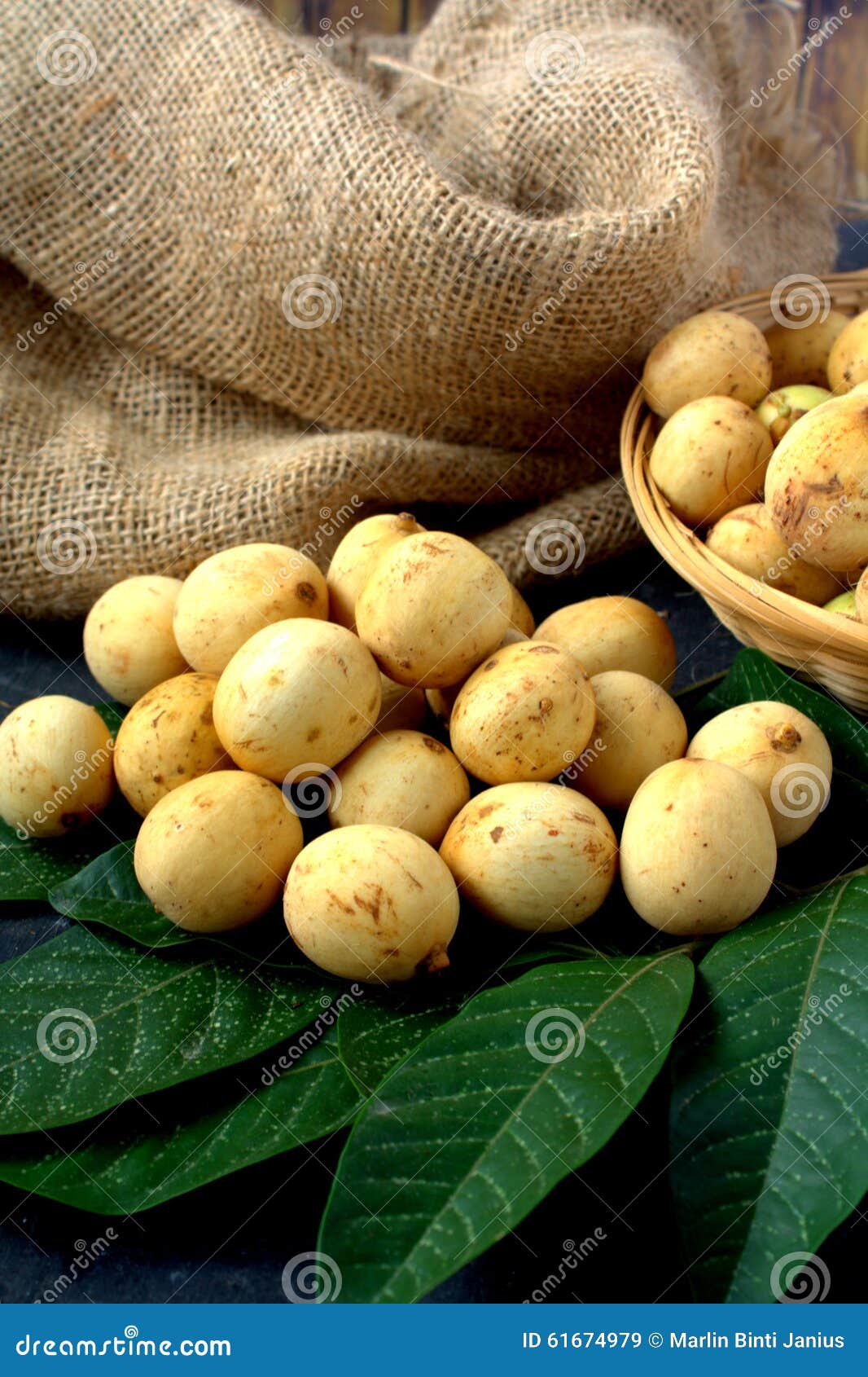 Langsat - tropical fruit stock image. Image of fresh - 61674979