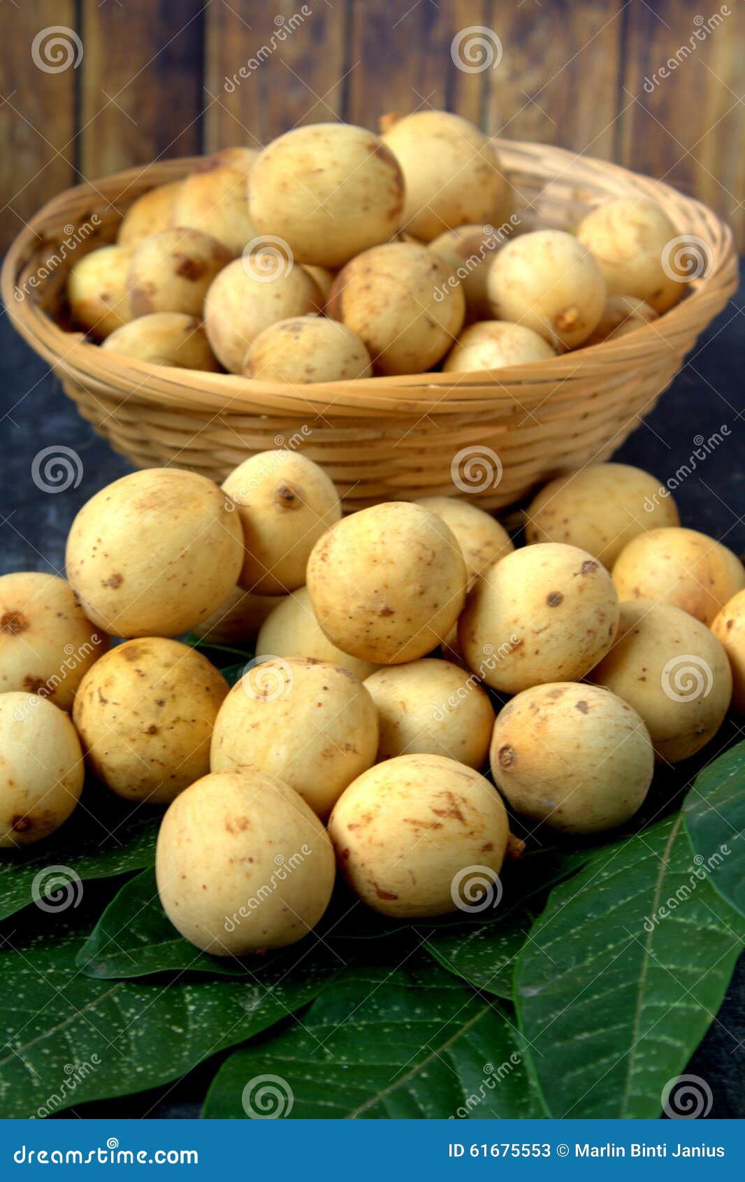 Langsat - tropical fruit stock image. Image of bunch - 61675553