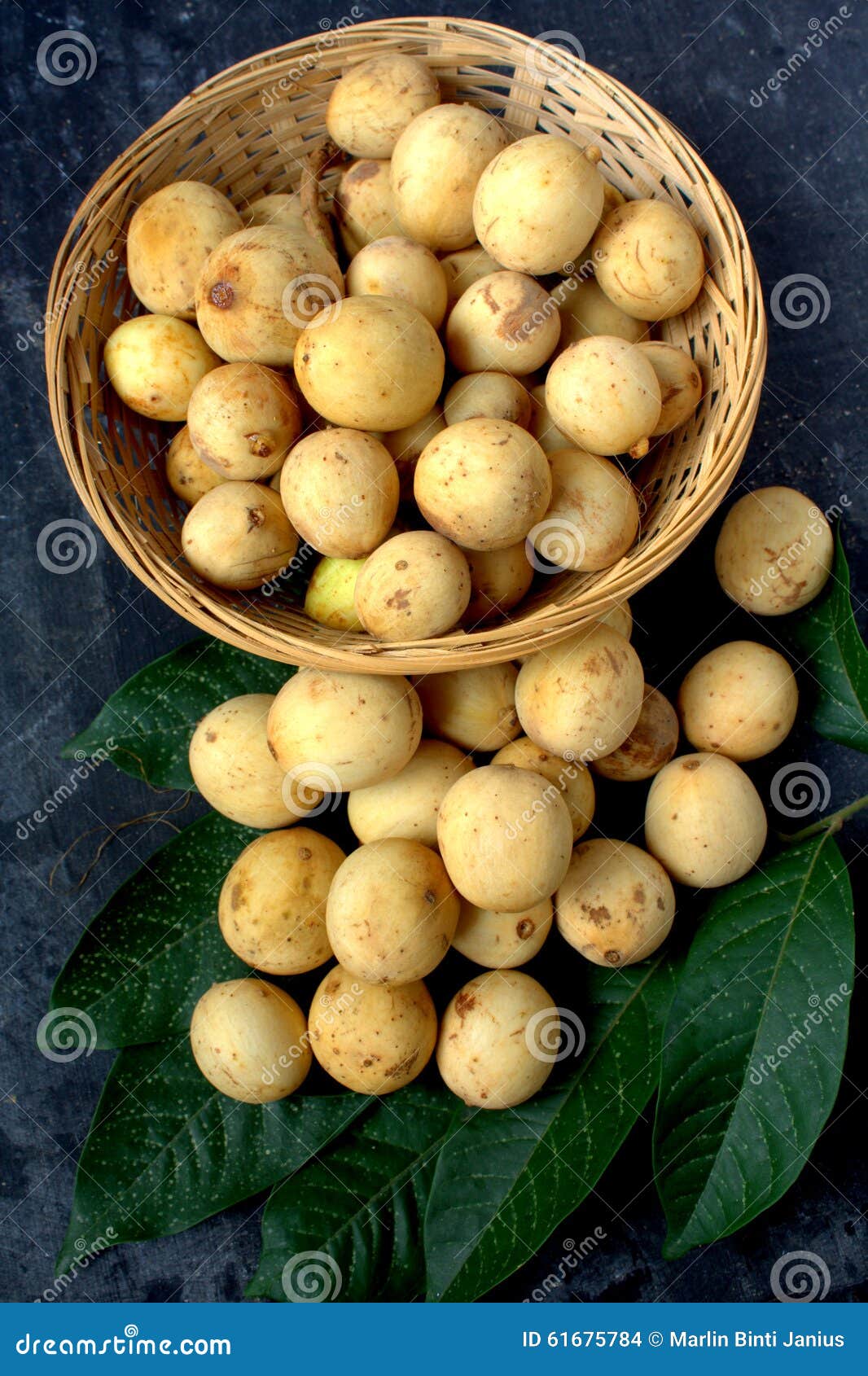 Langsat - tropical fruit stock photo. Image of malay - 61675784