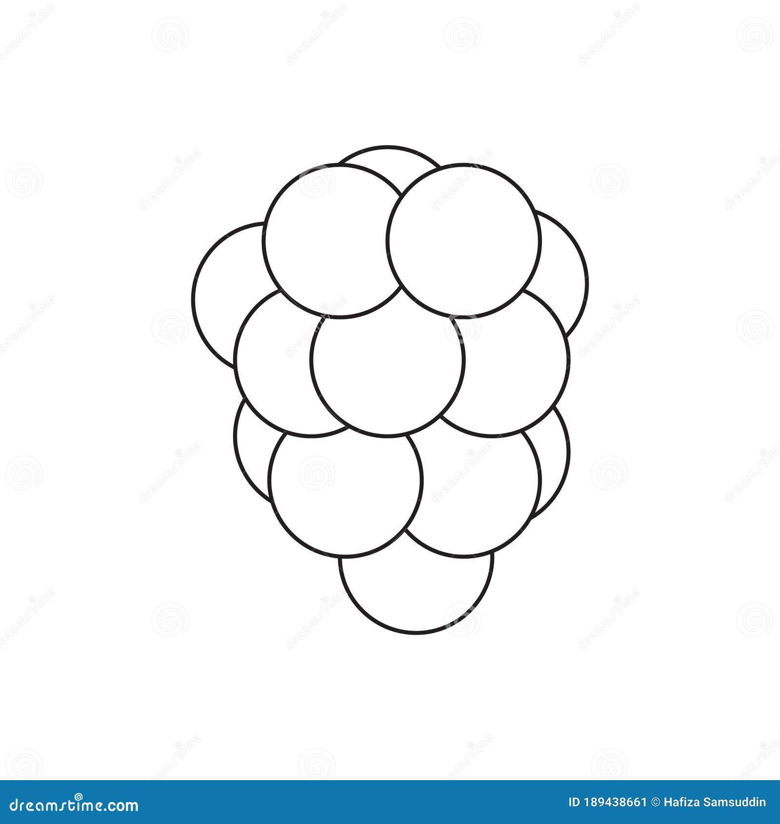 Langsat. Vector Illustration Decorative Design Stock Vector ...