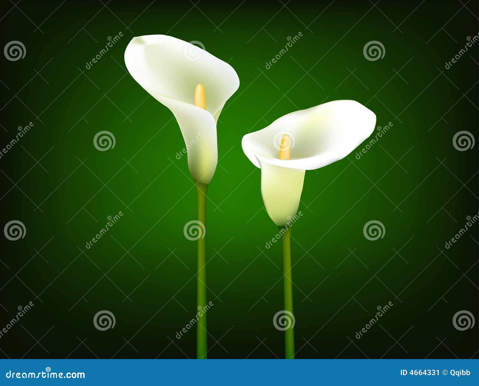 The language of flower stock vector. Illustration of flower - 4664331