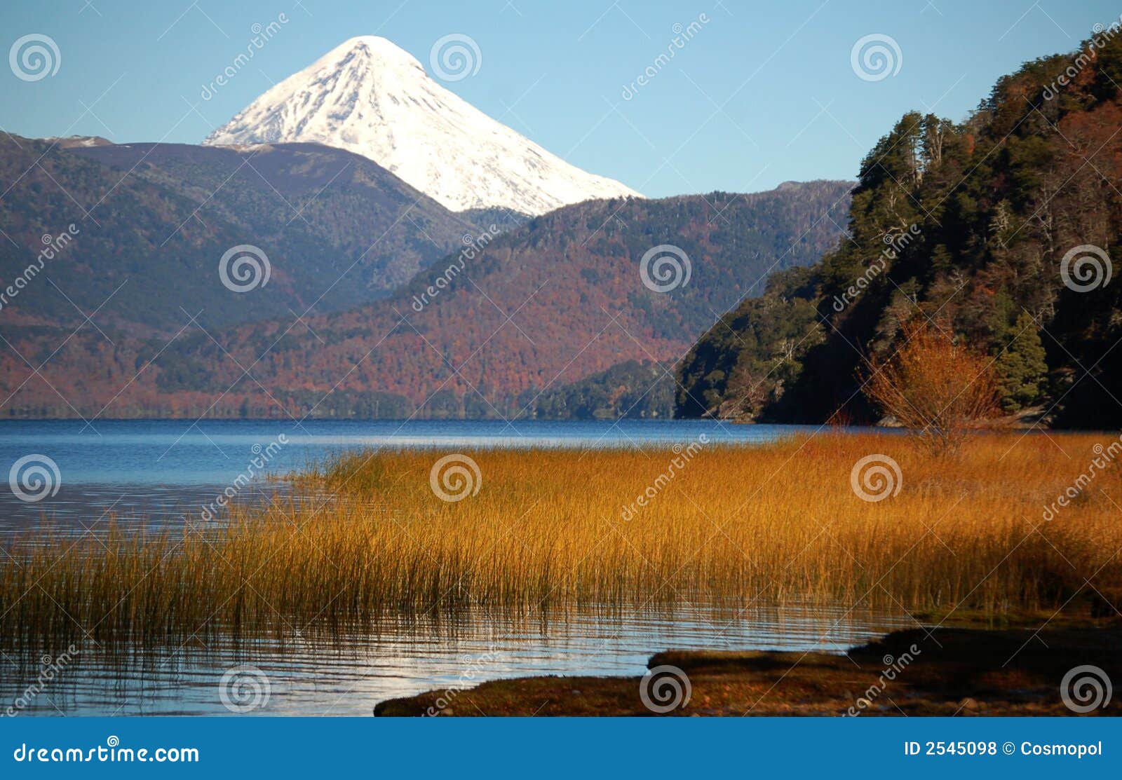 Lanin Volcano and Quillen Lake. Stock Photo - Image of remote ...