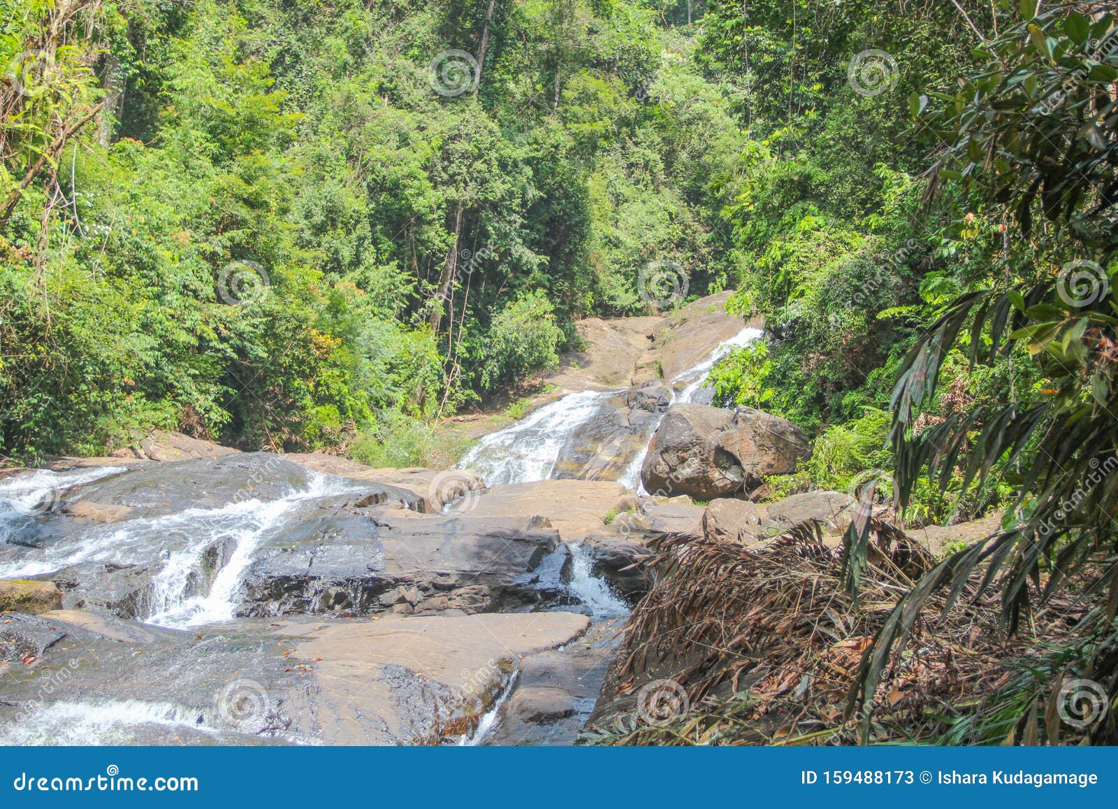 Lankagama water falls stock image. Image of waterfalls - 159488173