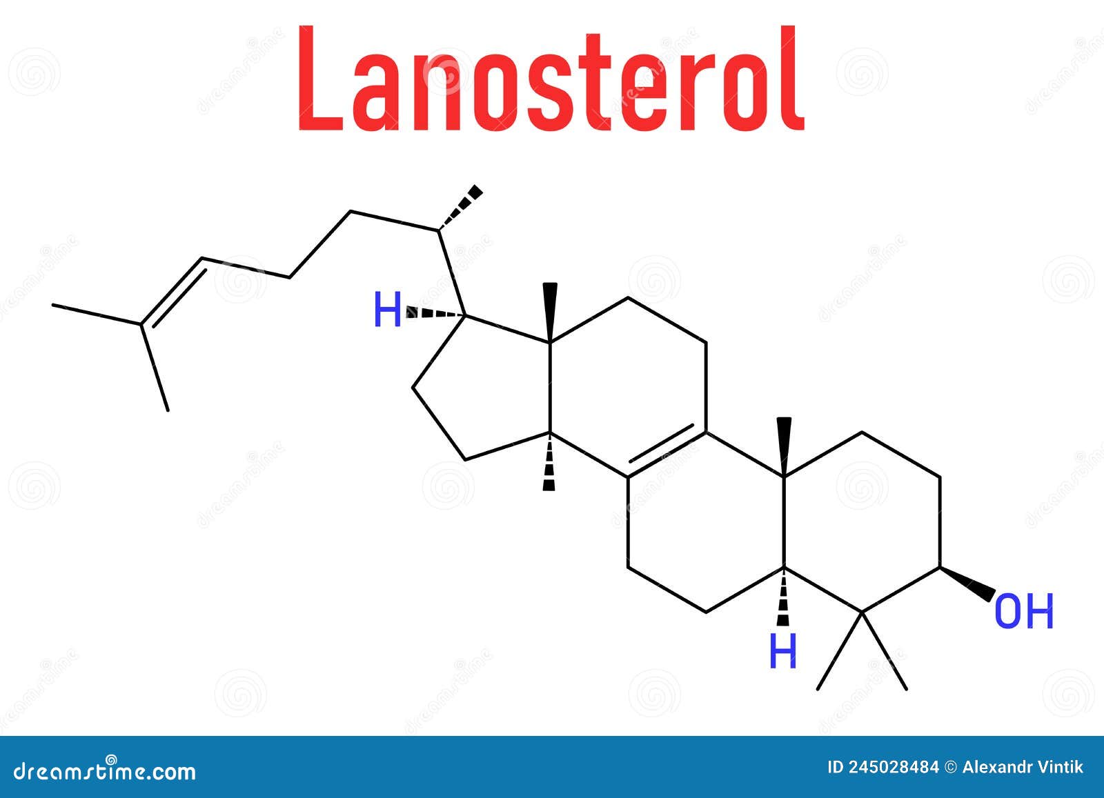 Lanosterol Molecule. Investigated for Treatment of Cataract. Skeletal ...