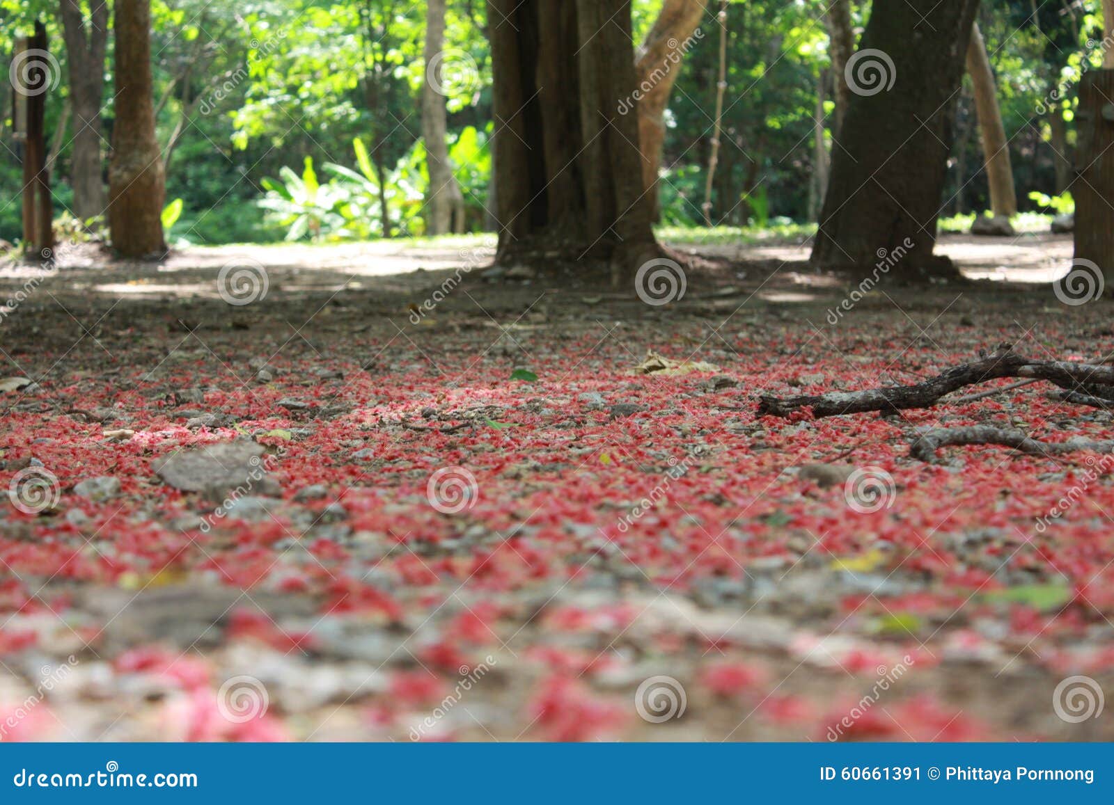 Lansang Ground Stock Photos - Free & Royalty-Free Stock Photos from ...