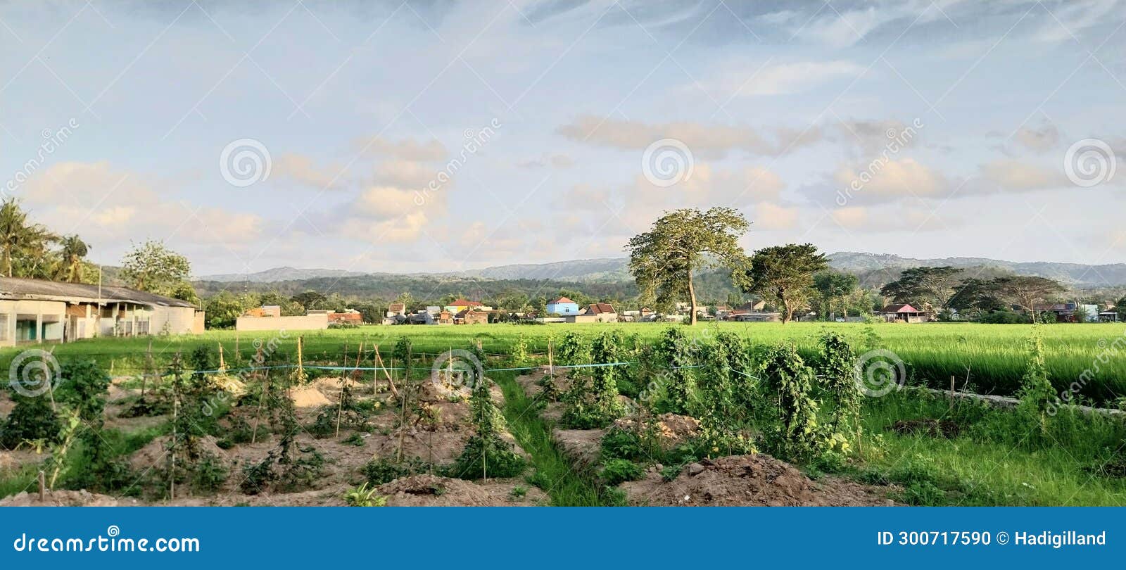 Lanscape natural view stock photo. Image of lanscape - 300717590