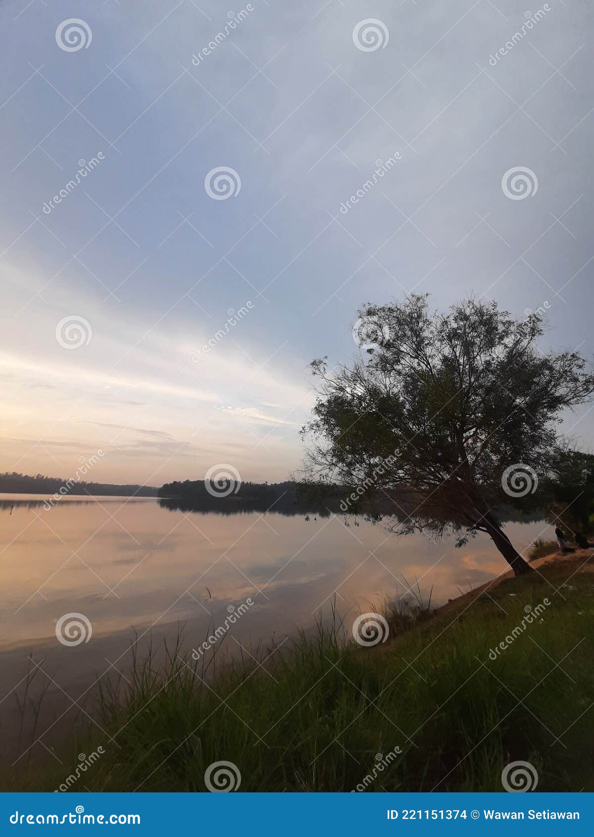 Lanscape Forests Water Tree Sans Stock Photo - Image of forests, water ...