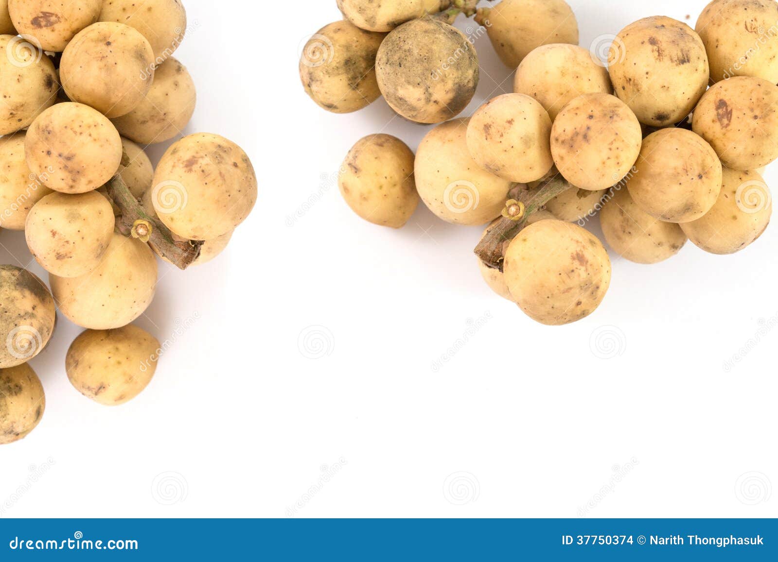 Lansium-domesticum stockfoto. Bild von frisch, reif, familie - 37750374